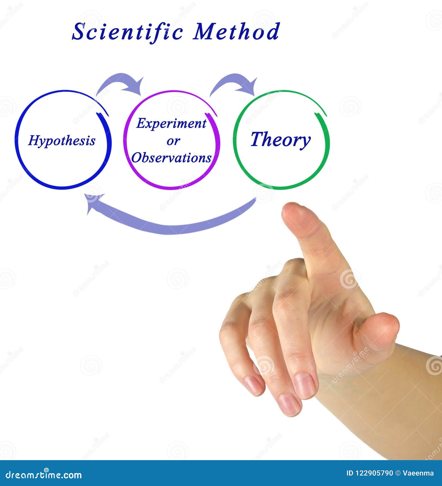 Components of Scientific Method Stock Photo - Image of observations ...