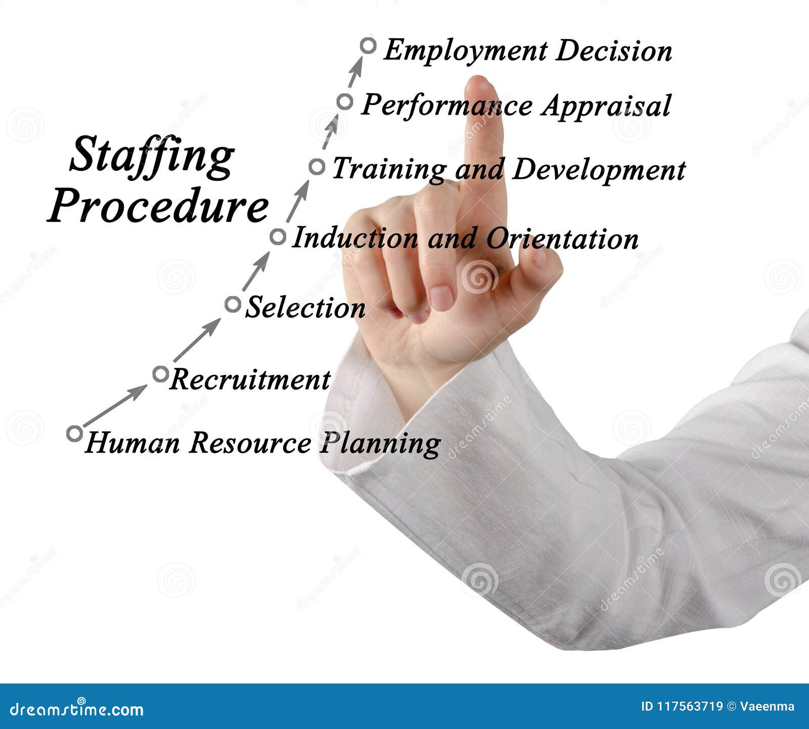 Components of Staffing Procedure Stock Image - Image of diagram, human ...