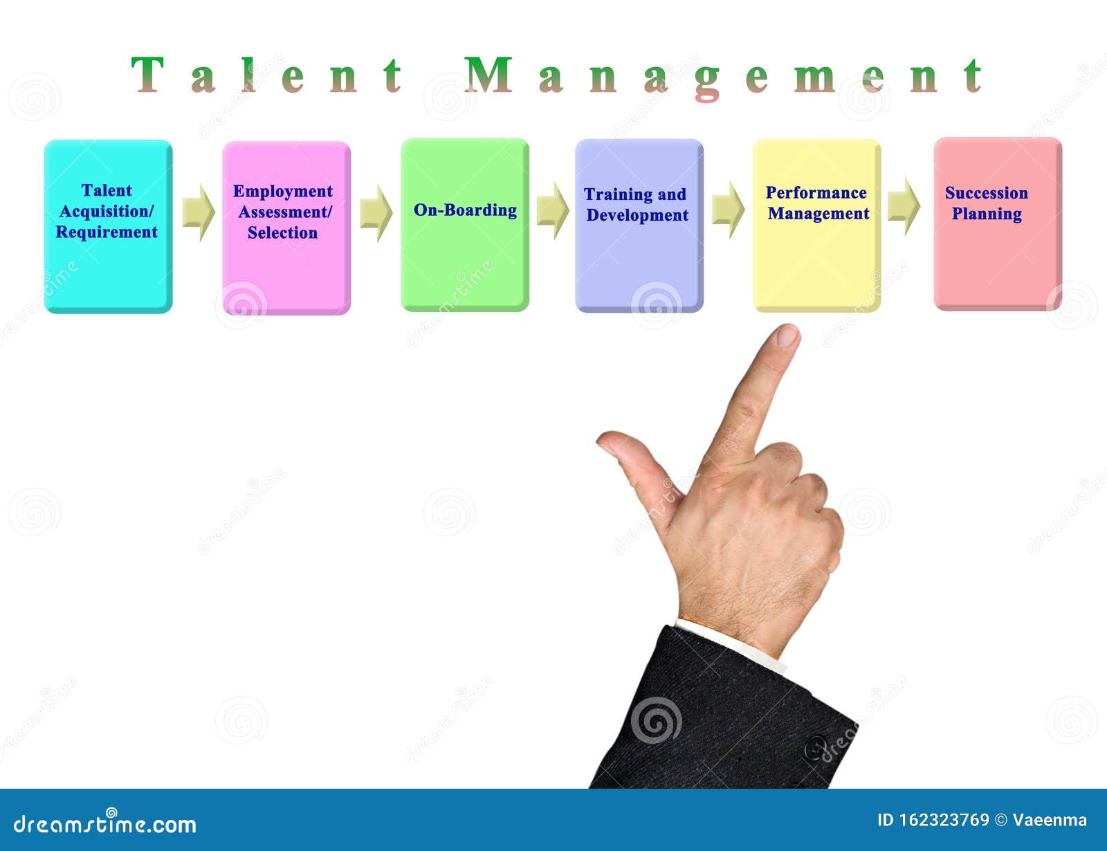 Components of Talent Management Stock Image - Image of screen ...