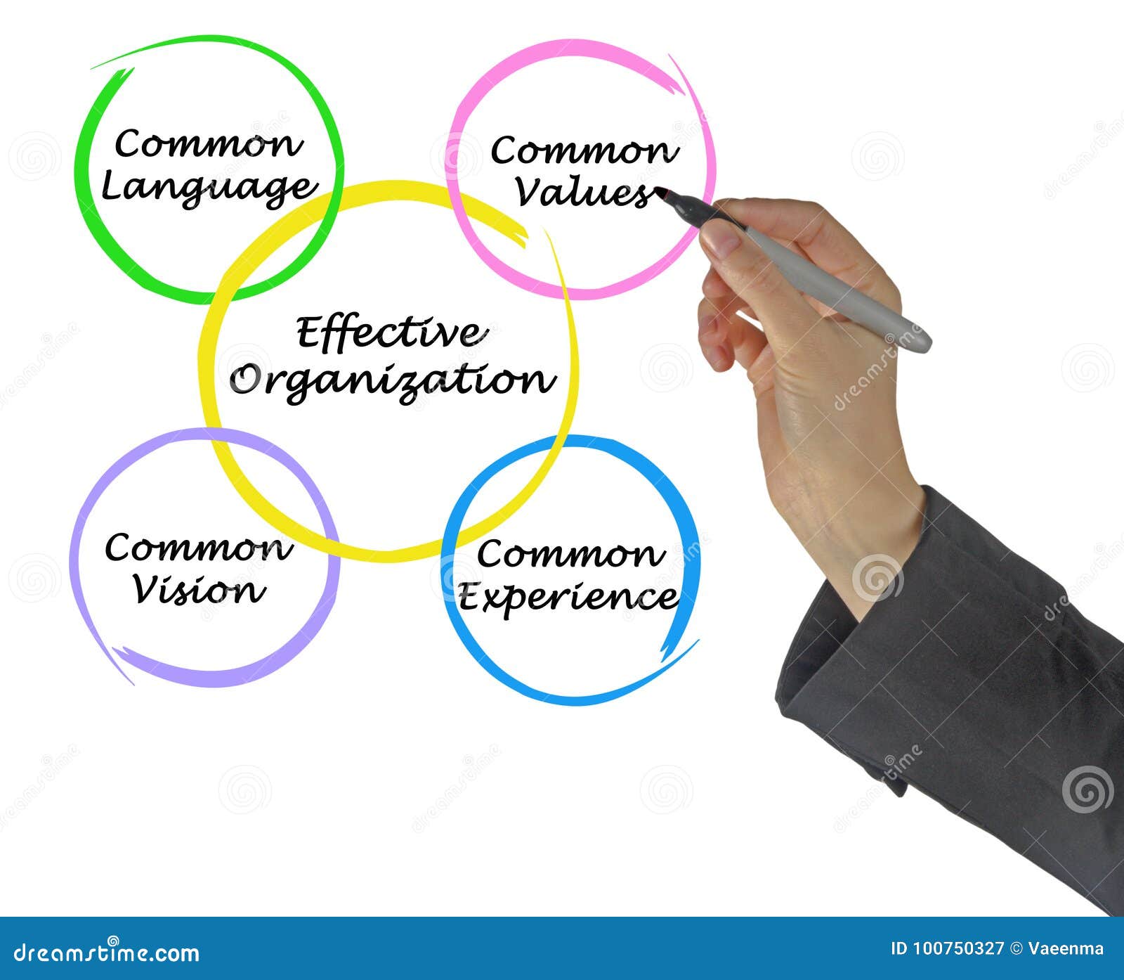 Diagram of Effective Organizations Stock Image - Image of expert ...