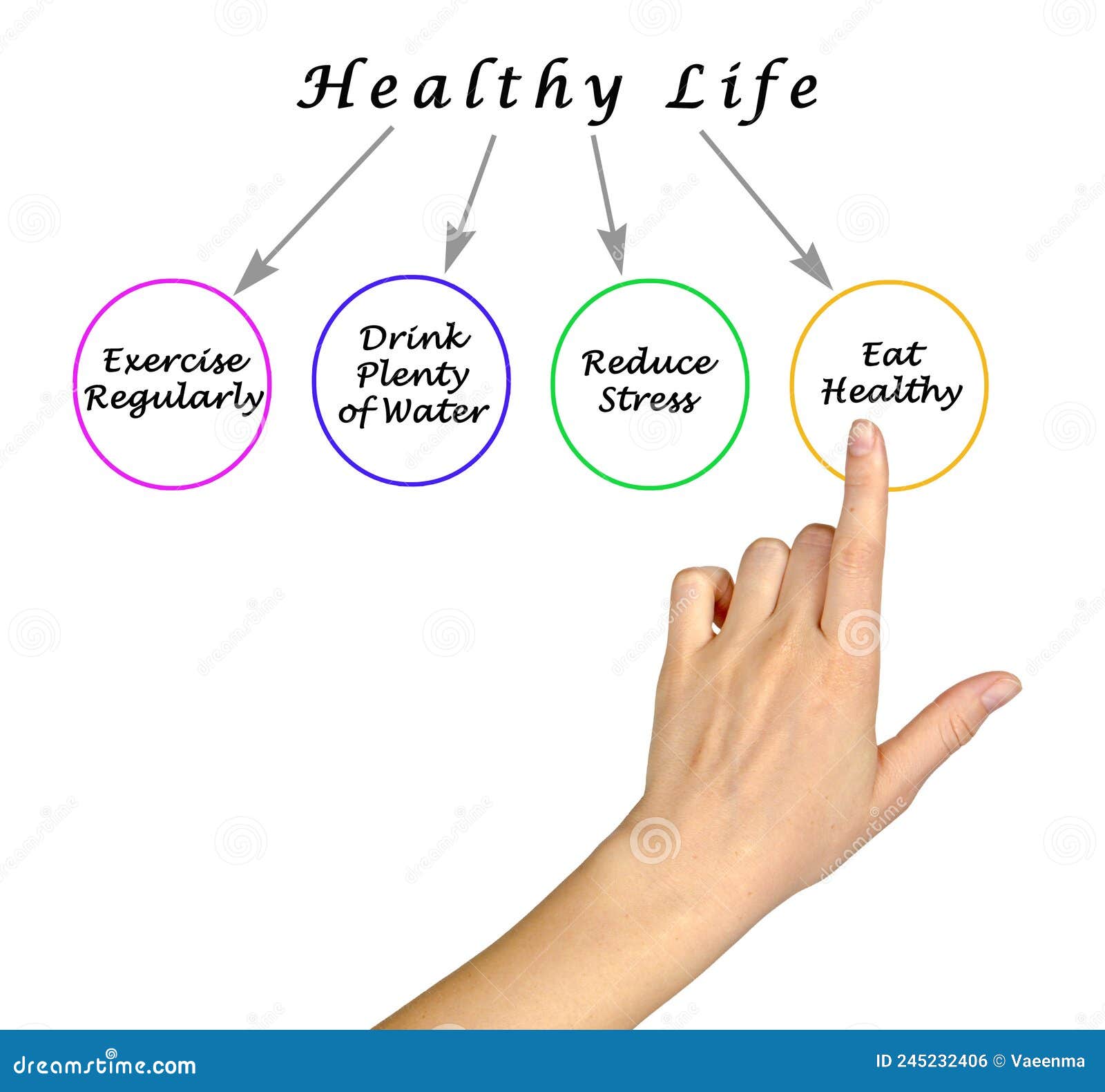 Diagram of healthy life stock photo. Image of reducing - 245232406
