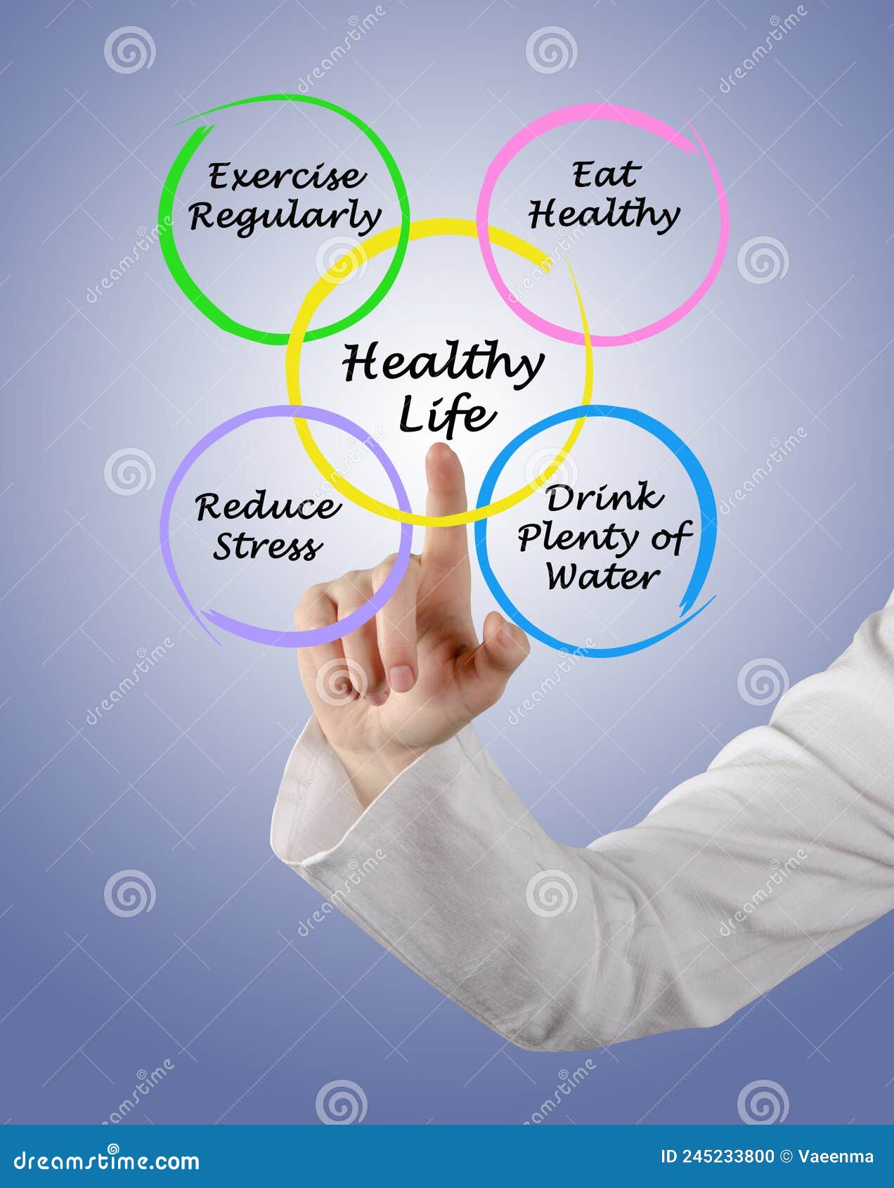 Diagram of healthy life stock photo. Image of presentation - 245233800