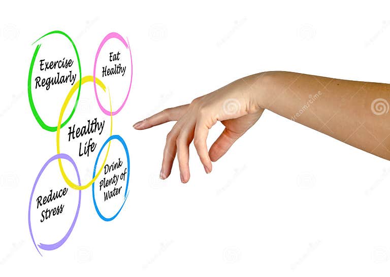 Diagram of healthy life stock illustration. Illustration of hand - 94357755 Diagram of healthy life stock illustration. Illustration of hand - 94357755