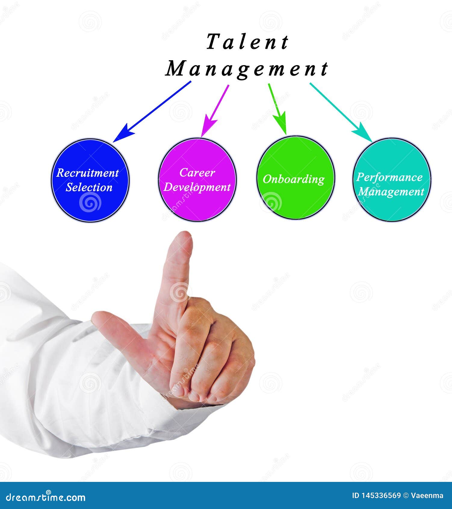 Diagram of Talent Management Stock Image - Image of presentation ...