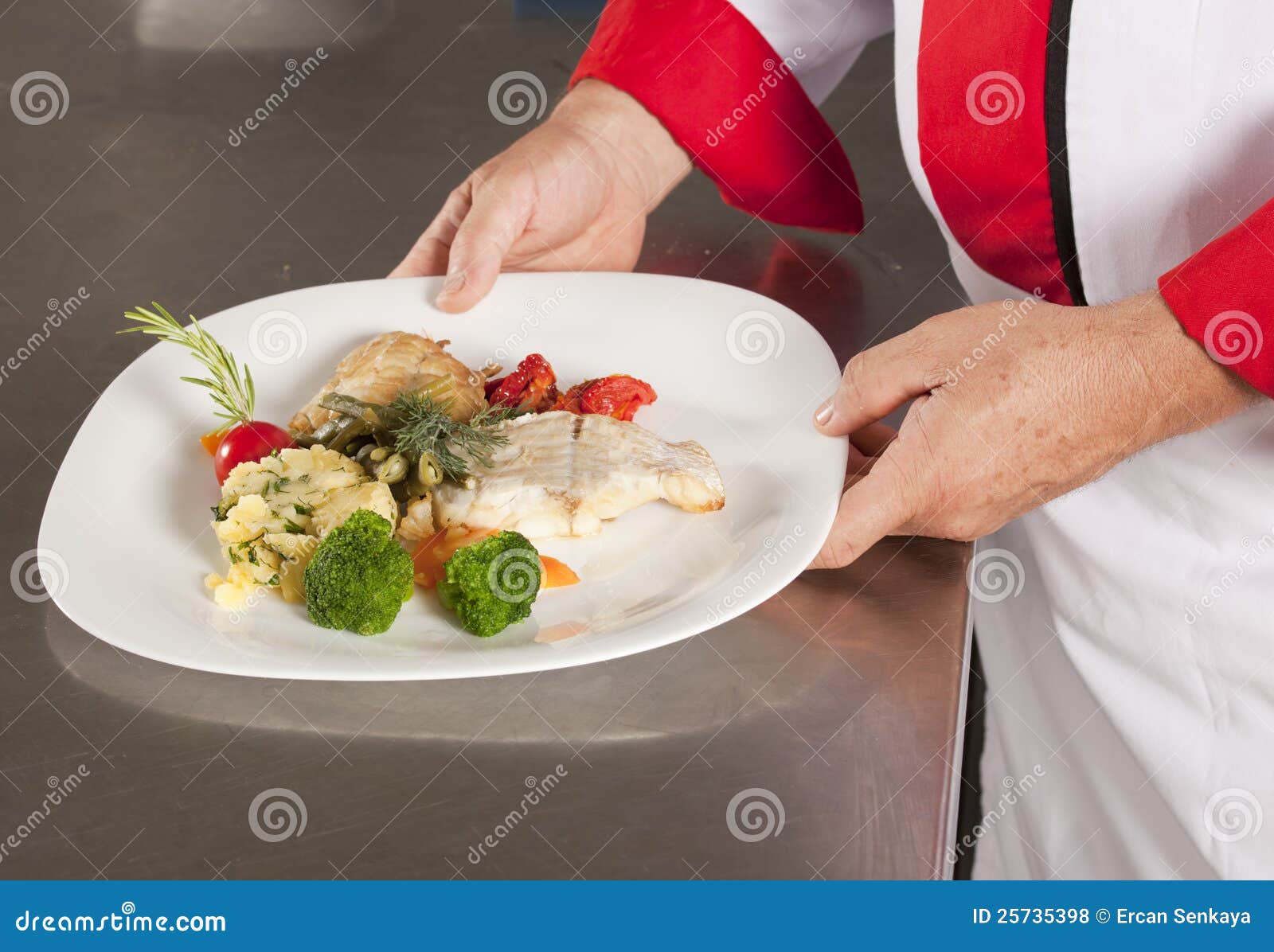 Presenting dish stock photo. Image of culinary, adult - 25735398