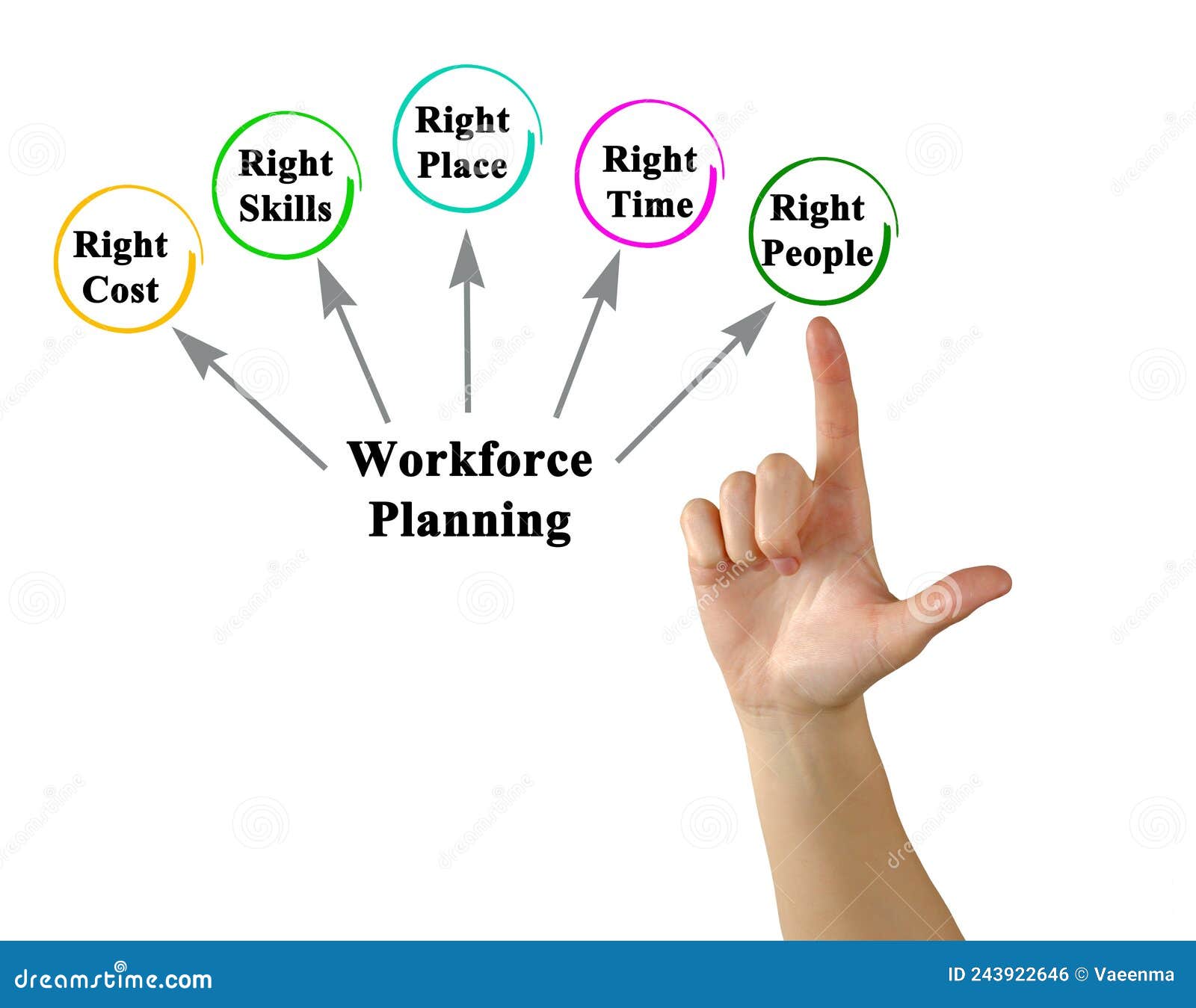 Workforce Planning And Talent Development Written On The Whiteboard ...