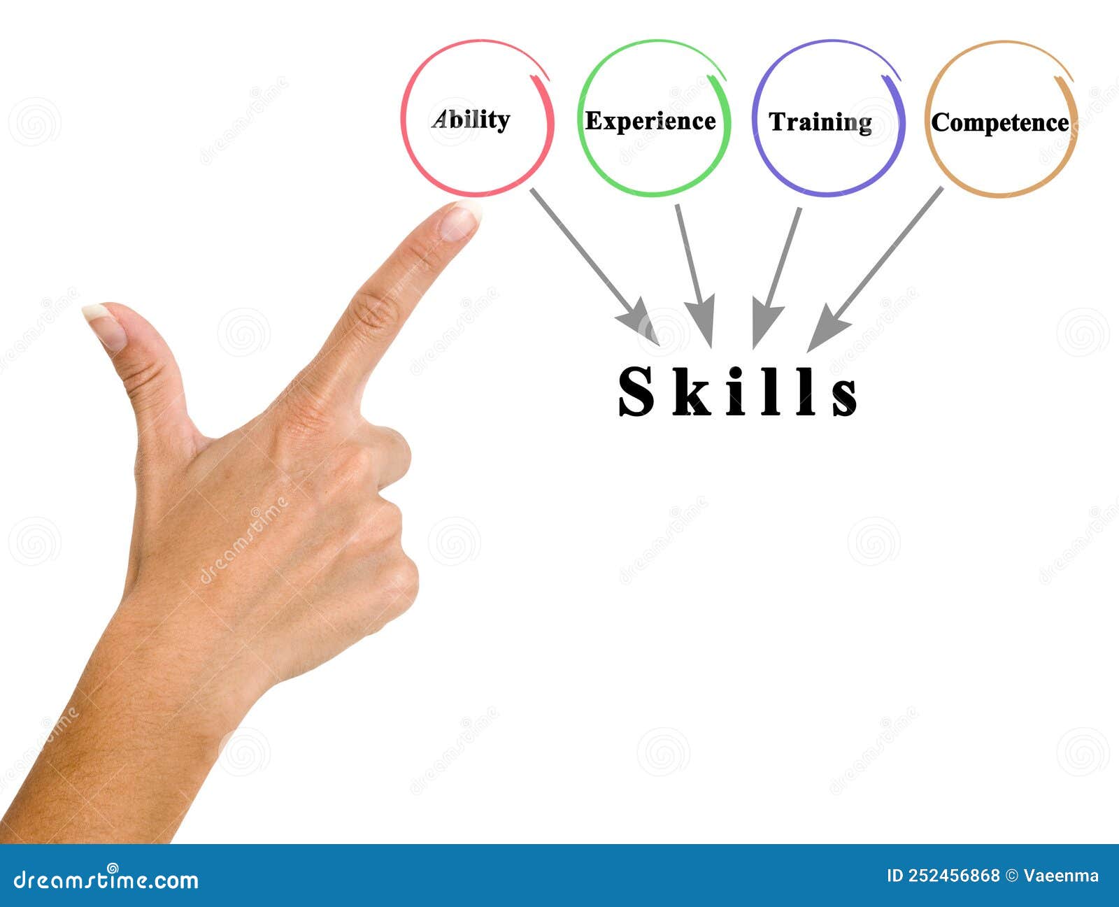 Four drivers of skills stock photo. Image of competence - 252456868