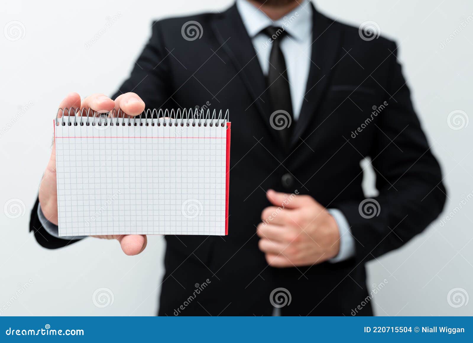 Presenting New Plan Ideas Demonstrating Planning Process Introducing ...