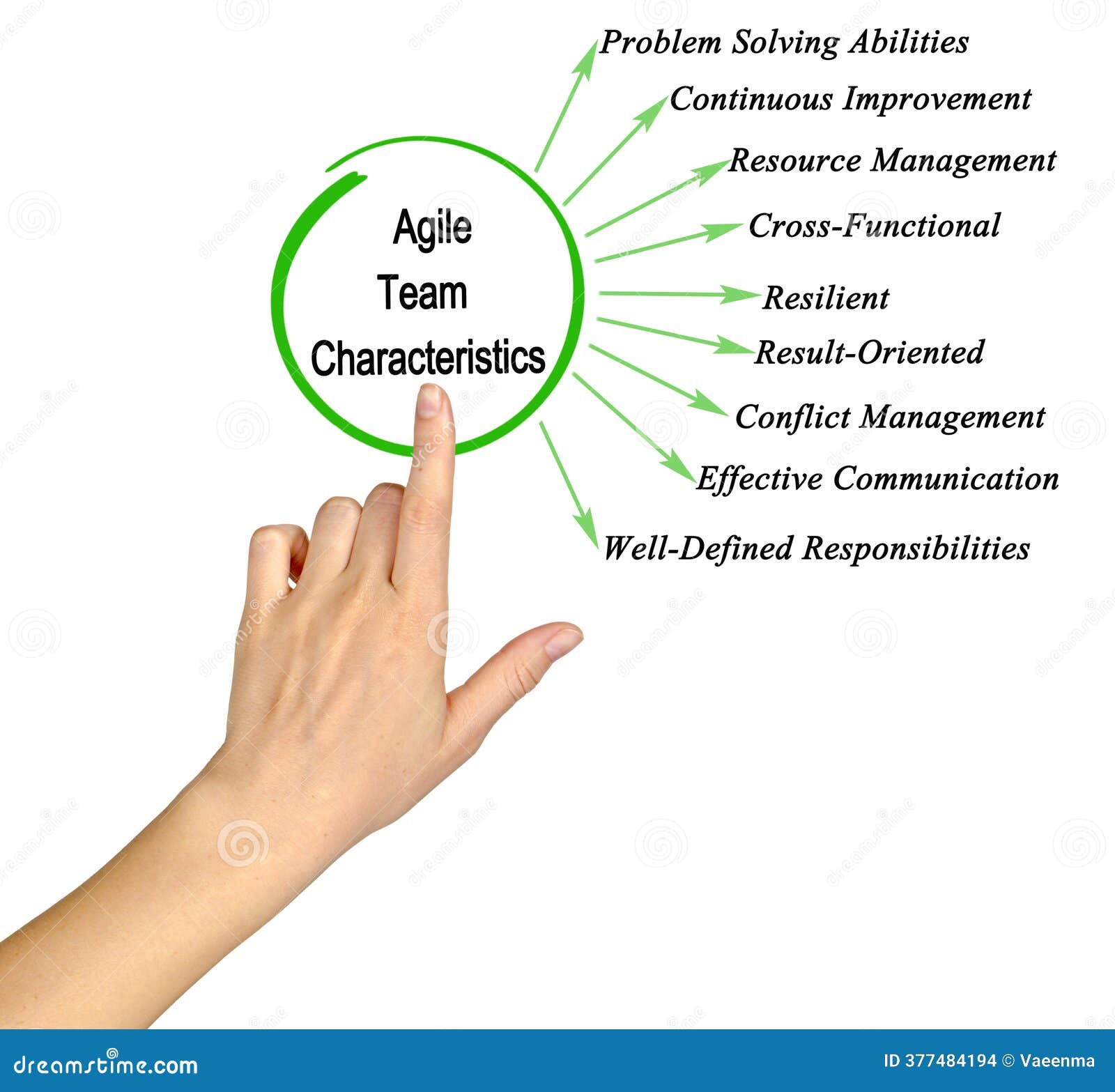 Team Characteristics Icon. Two Colors Premium Design From Management ...