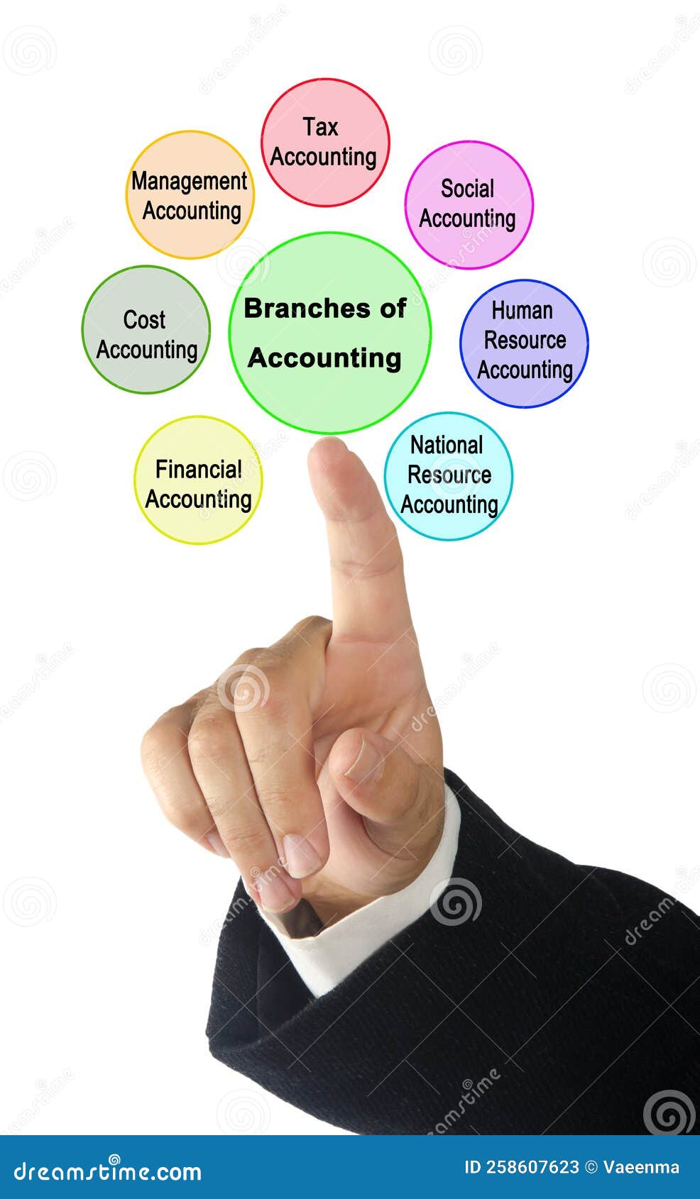 Seven Branches of Accounting Stock Image - Image of branches, financial ...