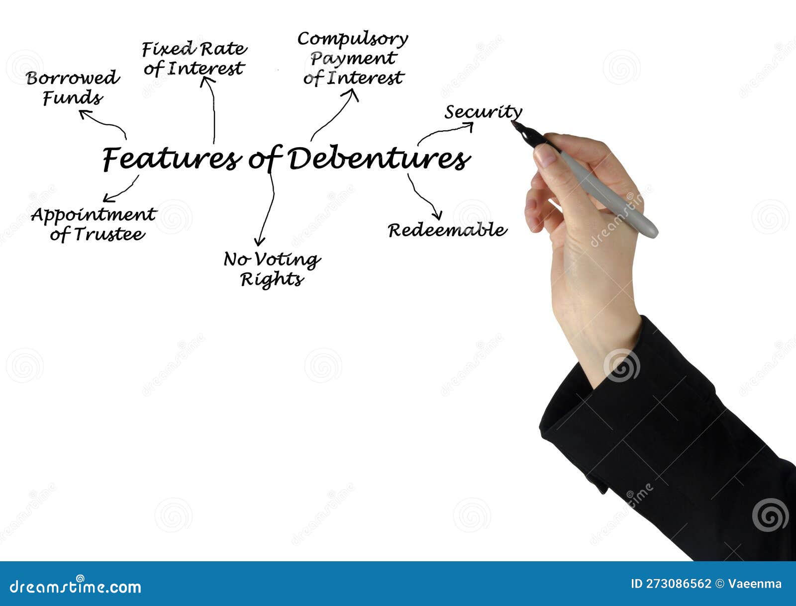 Seven Features of Debentures Stock Photo - Image of diagram, drawing ...