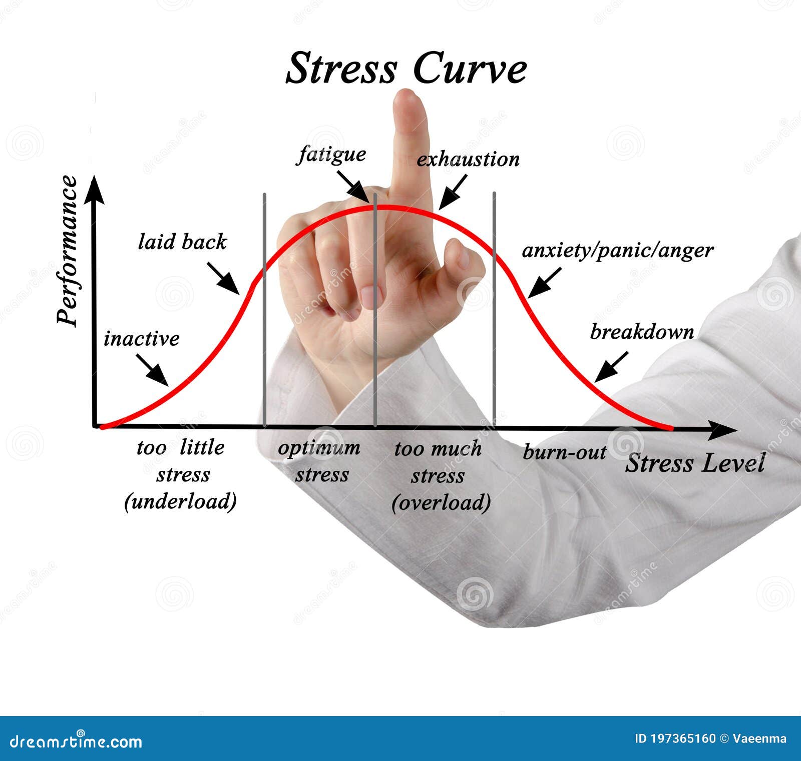 Stress Performance Curve Royalty-Free Stock Photography | CartoonDealer ...