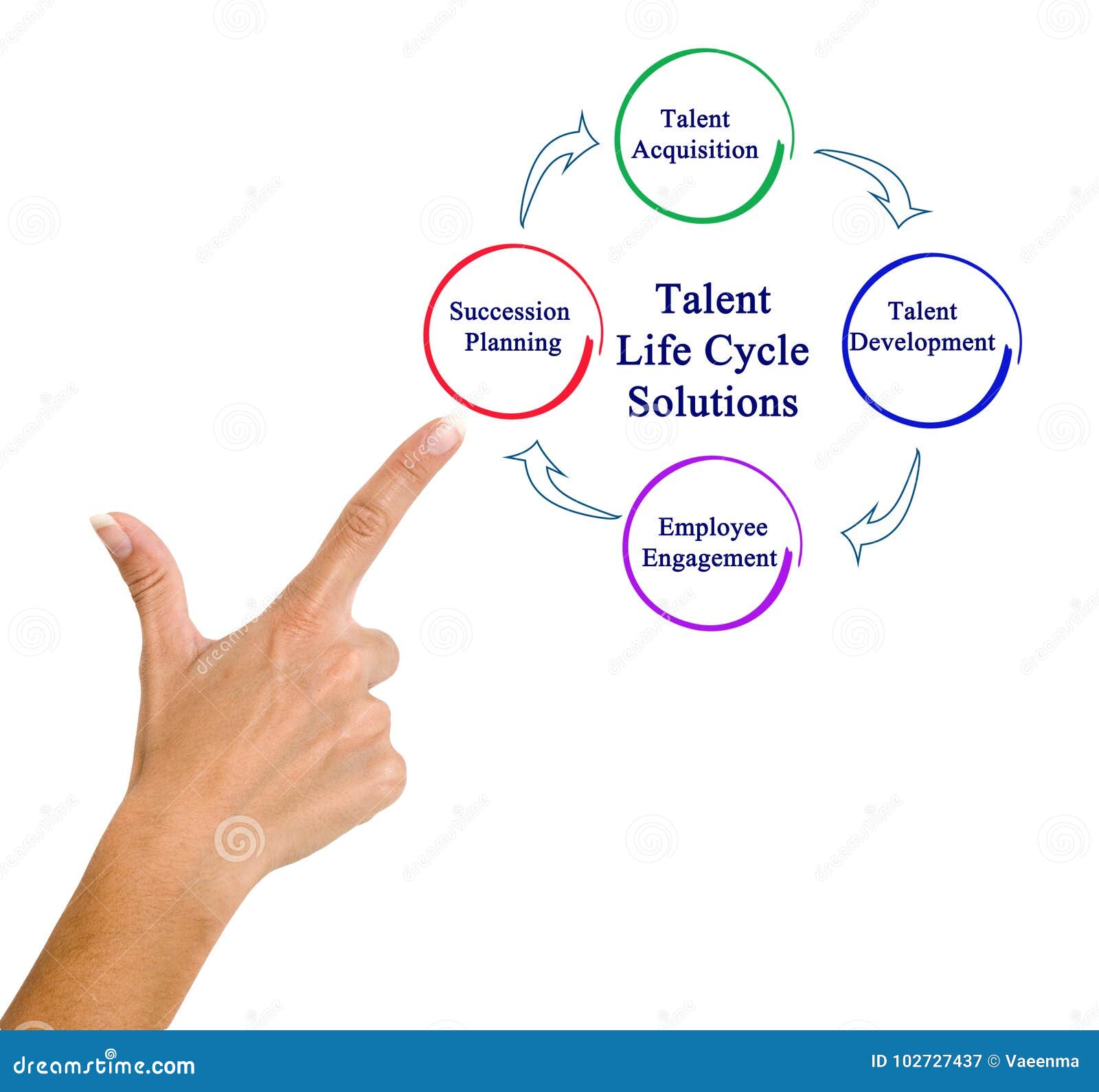 Talent Life Cycle Solutions Stock Image - Image of employee, presenting ...