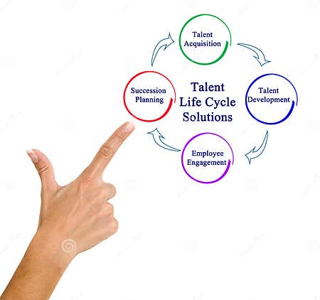 Talent Life Cycle Solutions Stock Image - Image of employee, presenting ...