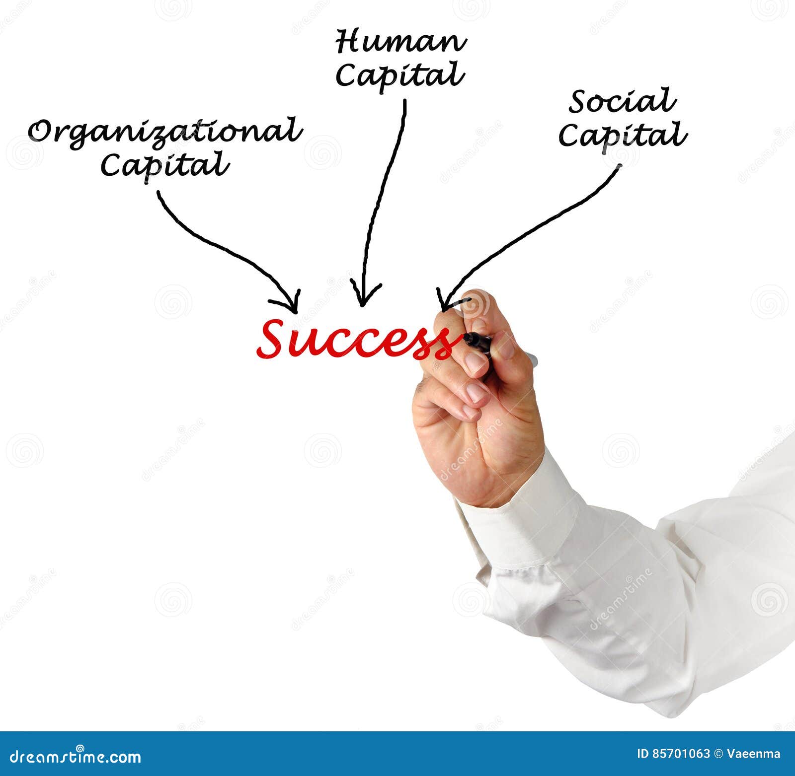 Diagram of Success stock image. Image of three, lecturer - 85701063