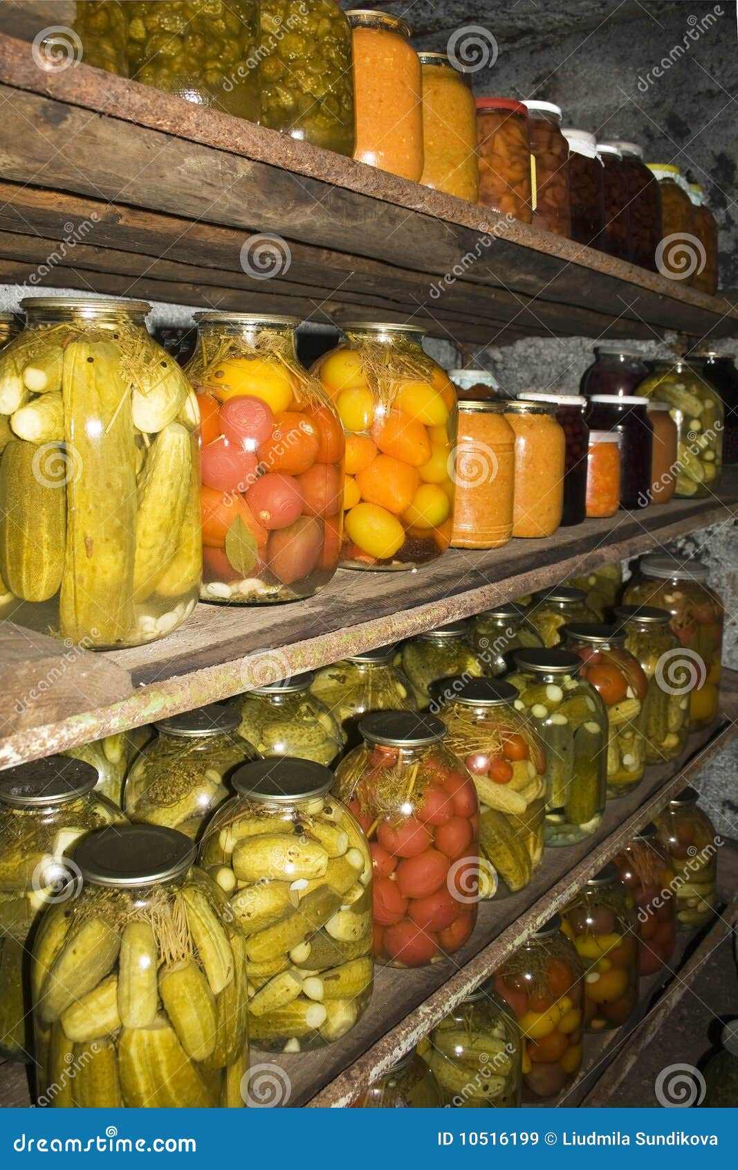 Preserved stock image. Image of glass, pickle, dills - 10516199