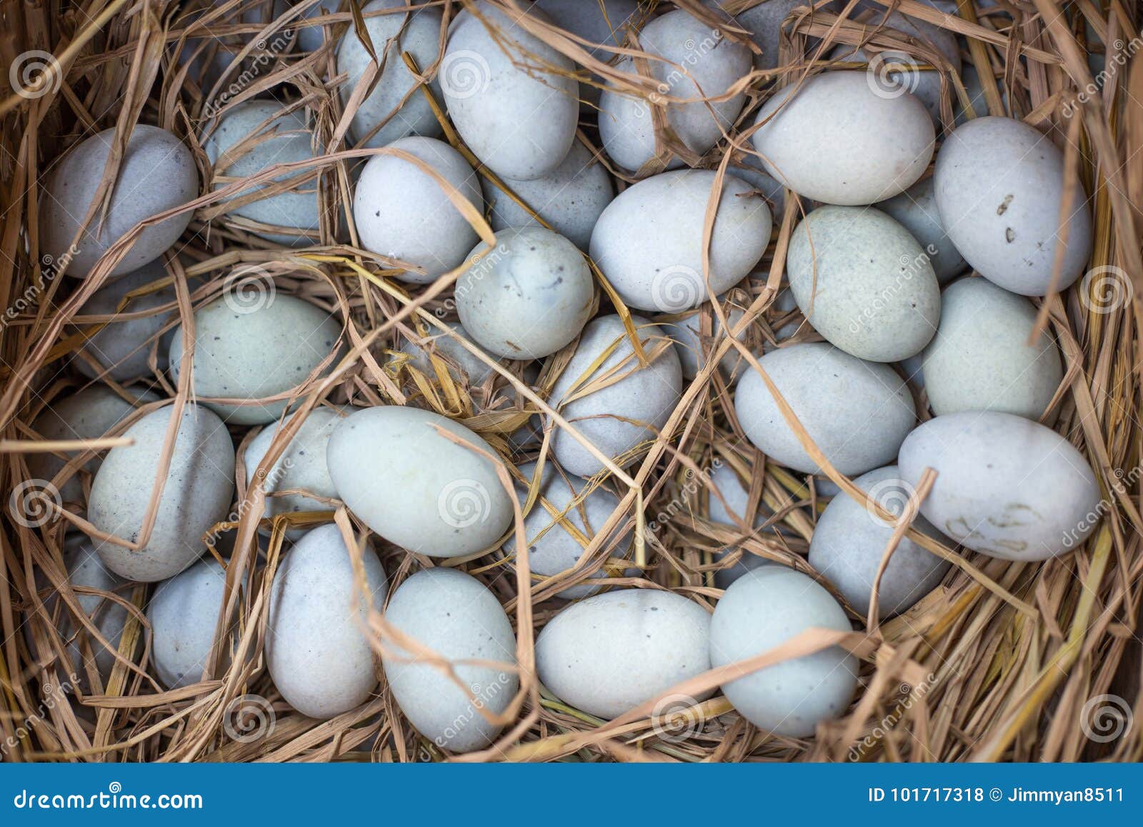 Preserved egg stock photo. Image of asian, nest, chinese - 101717318