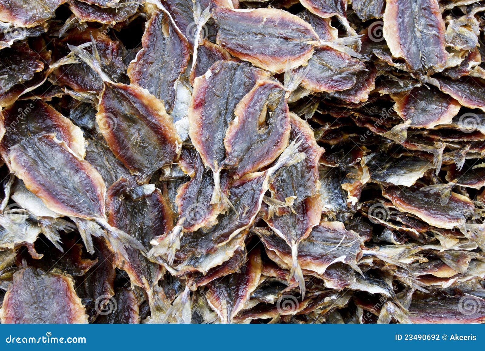 Preserved fish stock photo. Image of salted, eating, fishing - 23490692