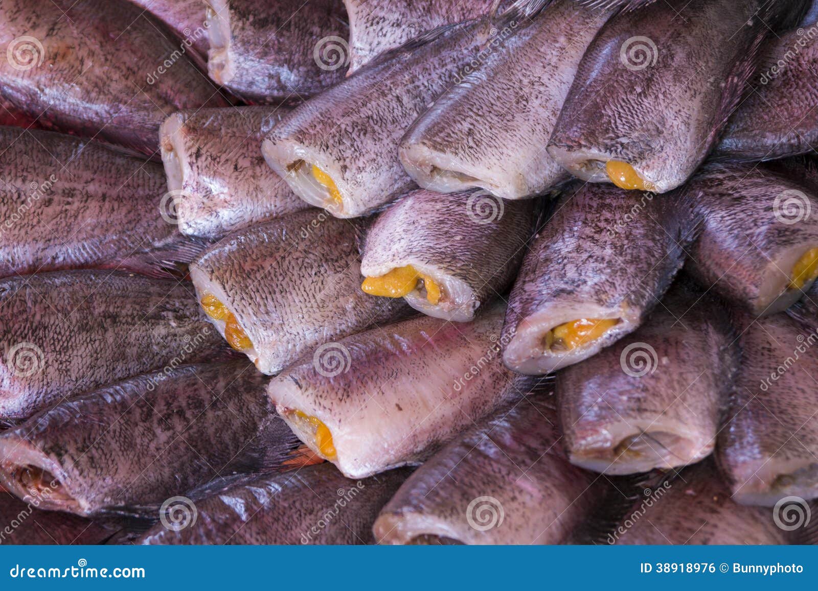 Preserved fish stock photo. Image of pectoralis, salty - 38918976