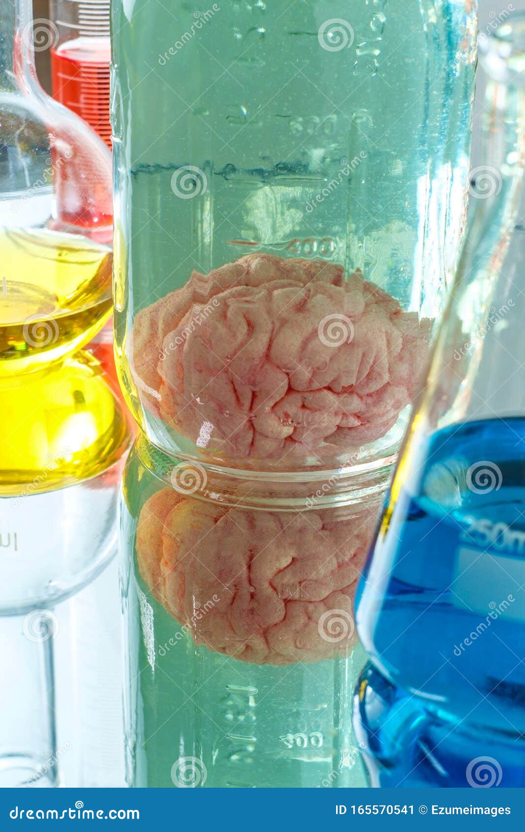 Formaldehyde Brain