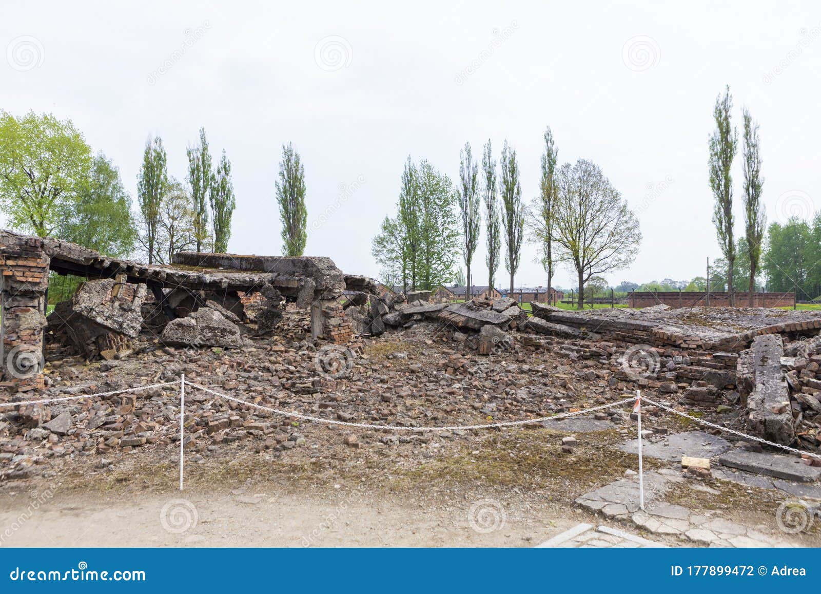 The Preserved Ruins from the Upper Part of a Crematory Editorial ...