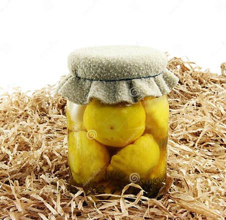 Preserved scallops stock image. Image of marinated, background - 7956039