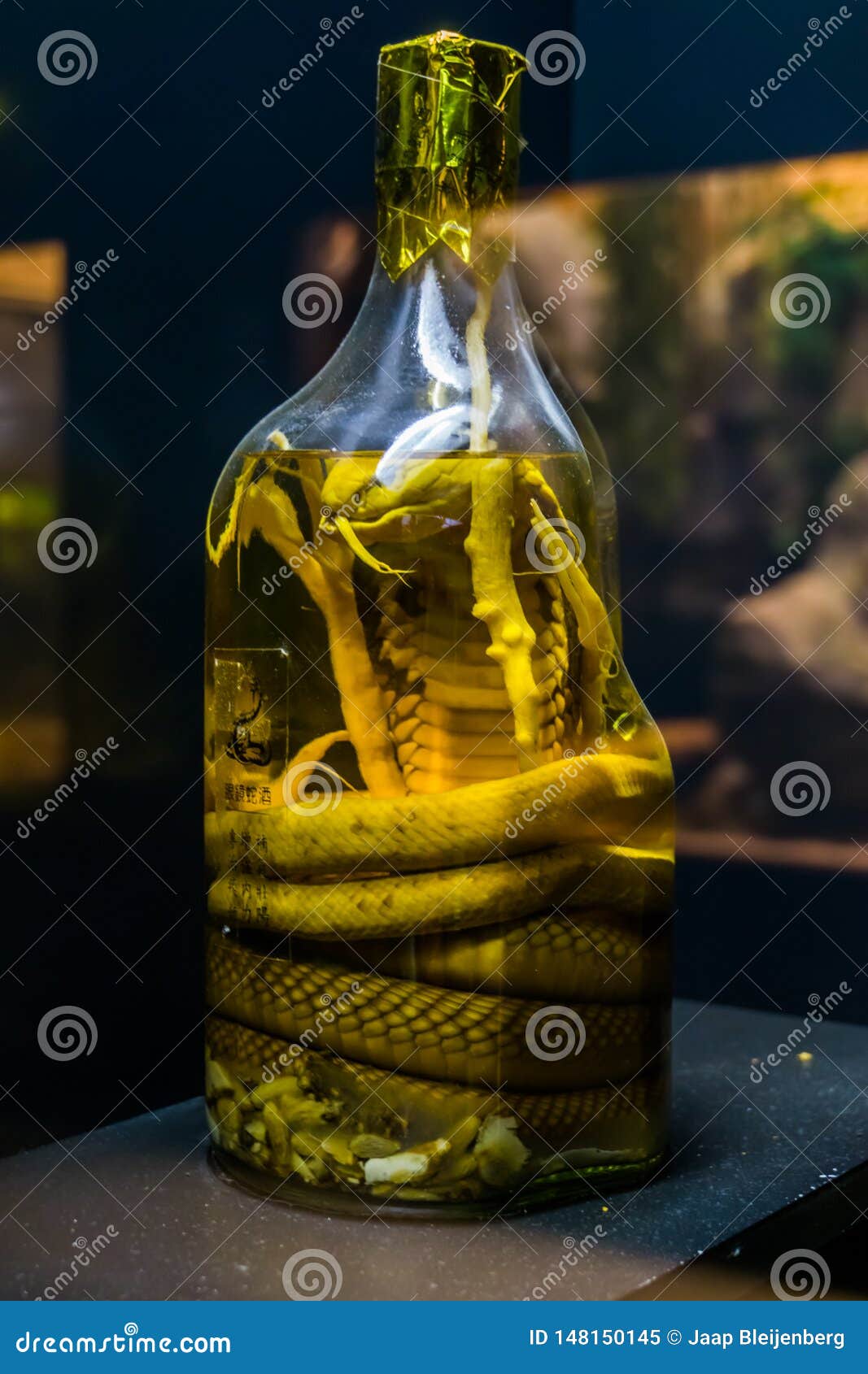 Snake In A Bottle Stock Photography | CartoonDealer.com #16078904