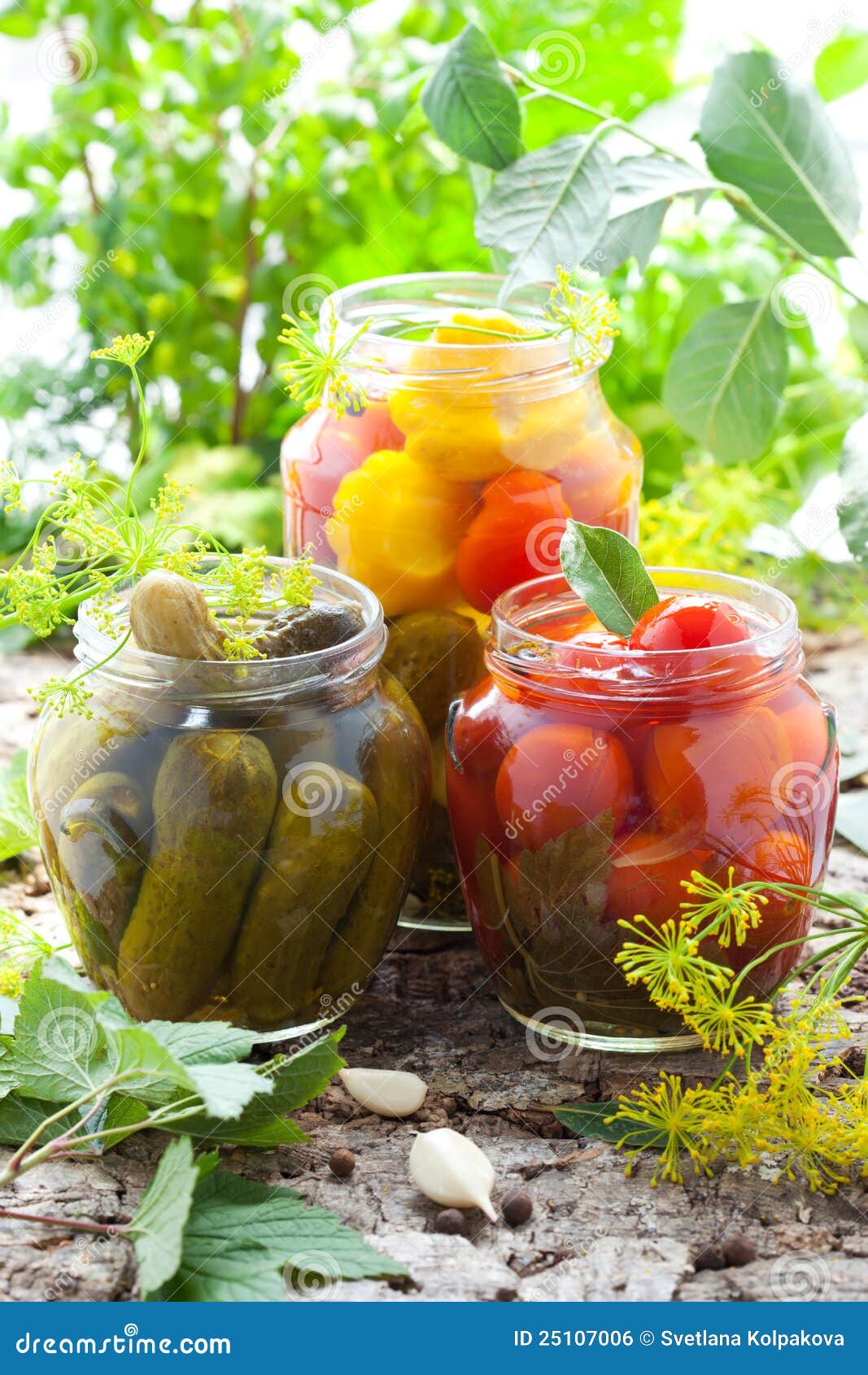 Preserved vegetables stock photo. Image of life, assorted - 25107006