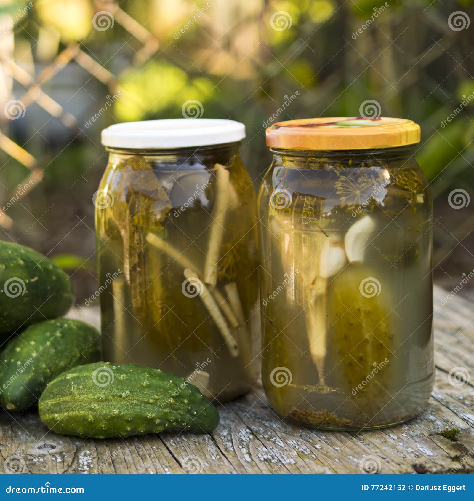 Preserving Pickled Cucumbers. Pickles Jars Stock Photo - Image of ...
