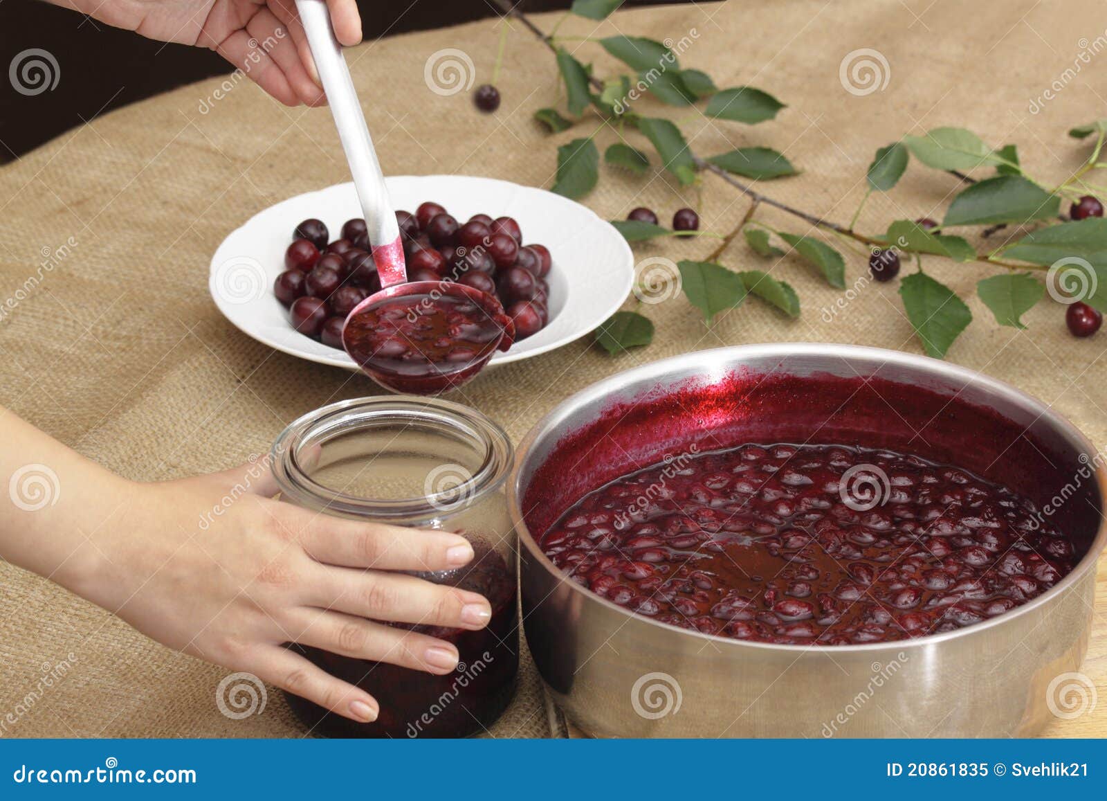 Preserving sour cherries stock image. Image of sweet - 20861835