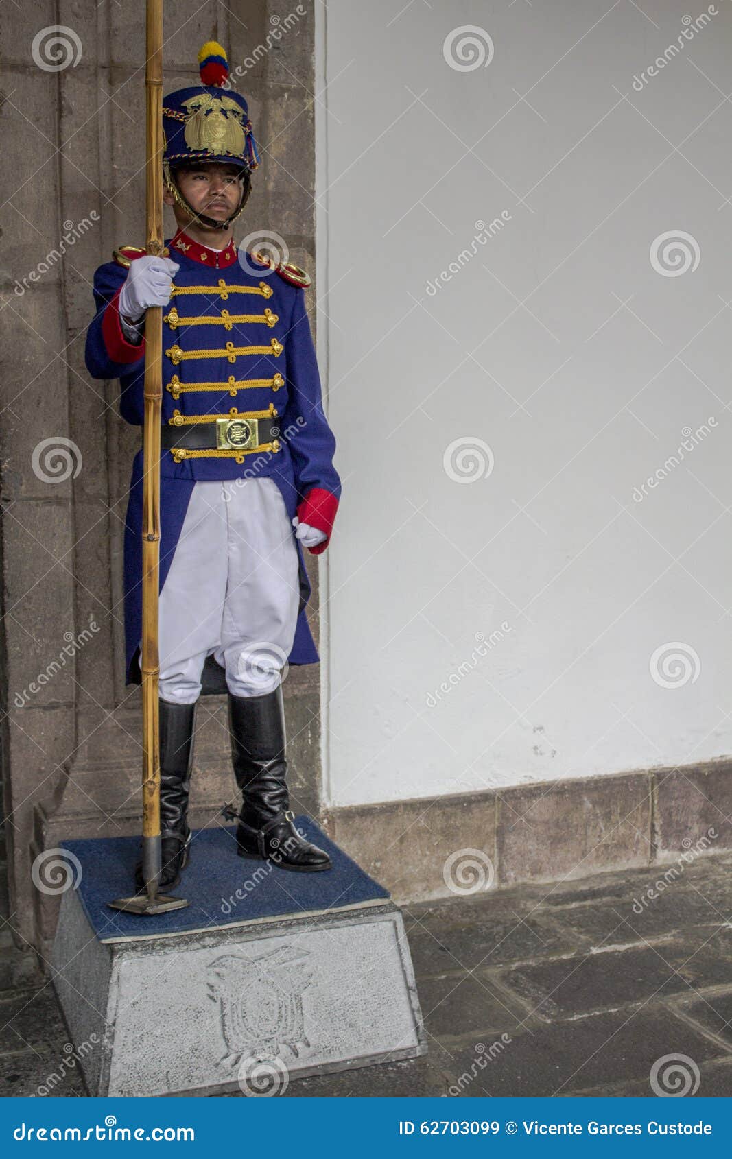 President Guard editorial stock image. Image of flag - 62703099