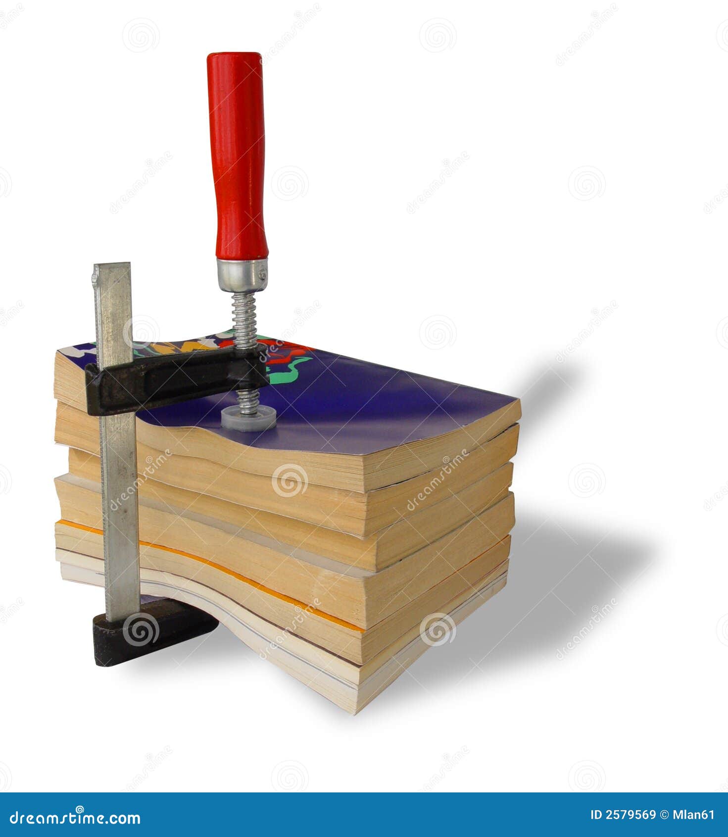 Pressed books stock image. Image of book, clamp, flat - 2579569