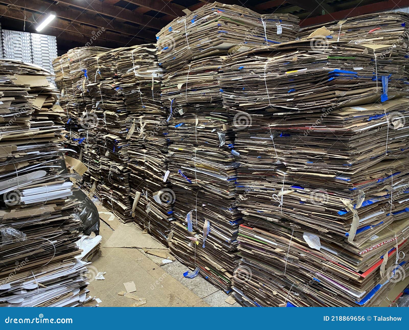 Pressed Cardboard Stacked in Stock Stock Photo - Image of material ...