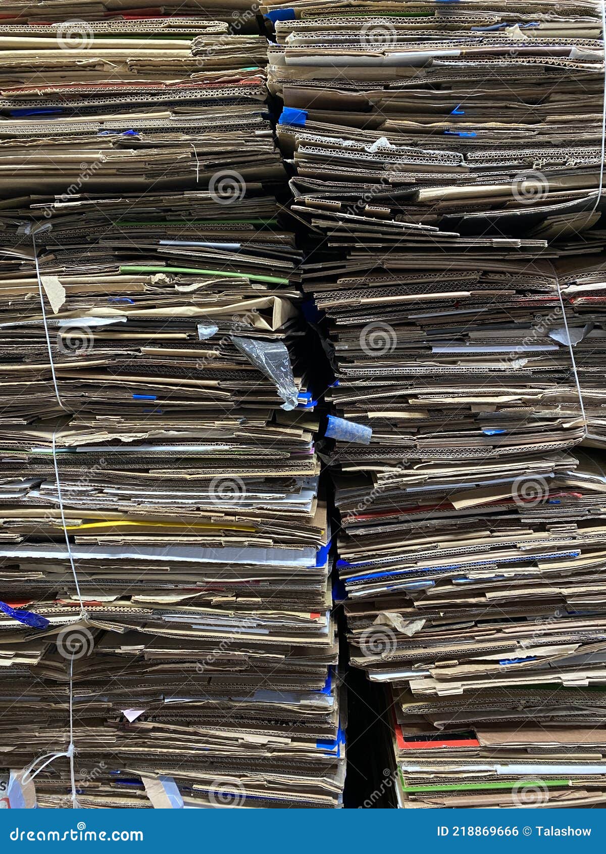 Pressed Cardboard Stacked in Stock Stock Photo - Image of pile, plant ...