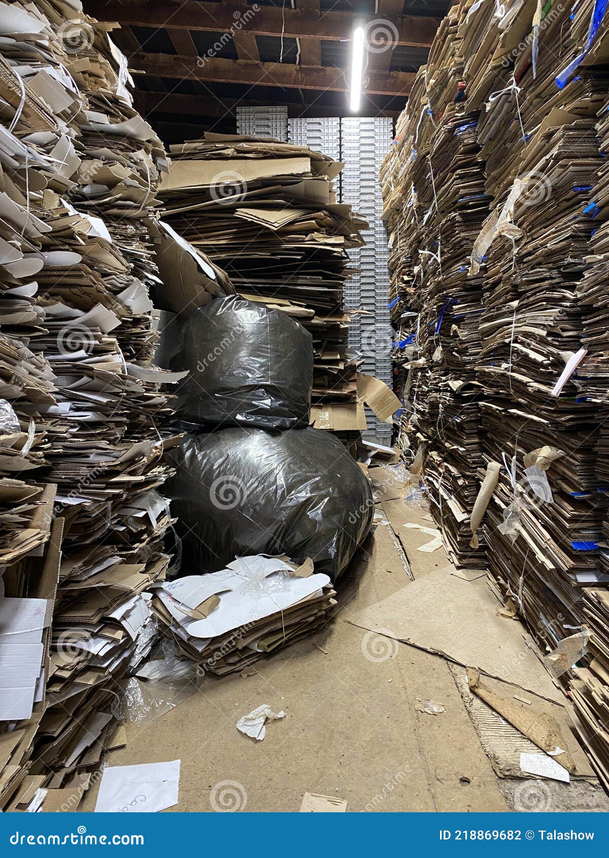 Pressed Cardboard Stacked in Stock Stock Photo - Image of production ...