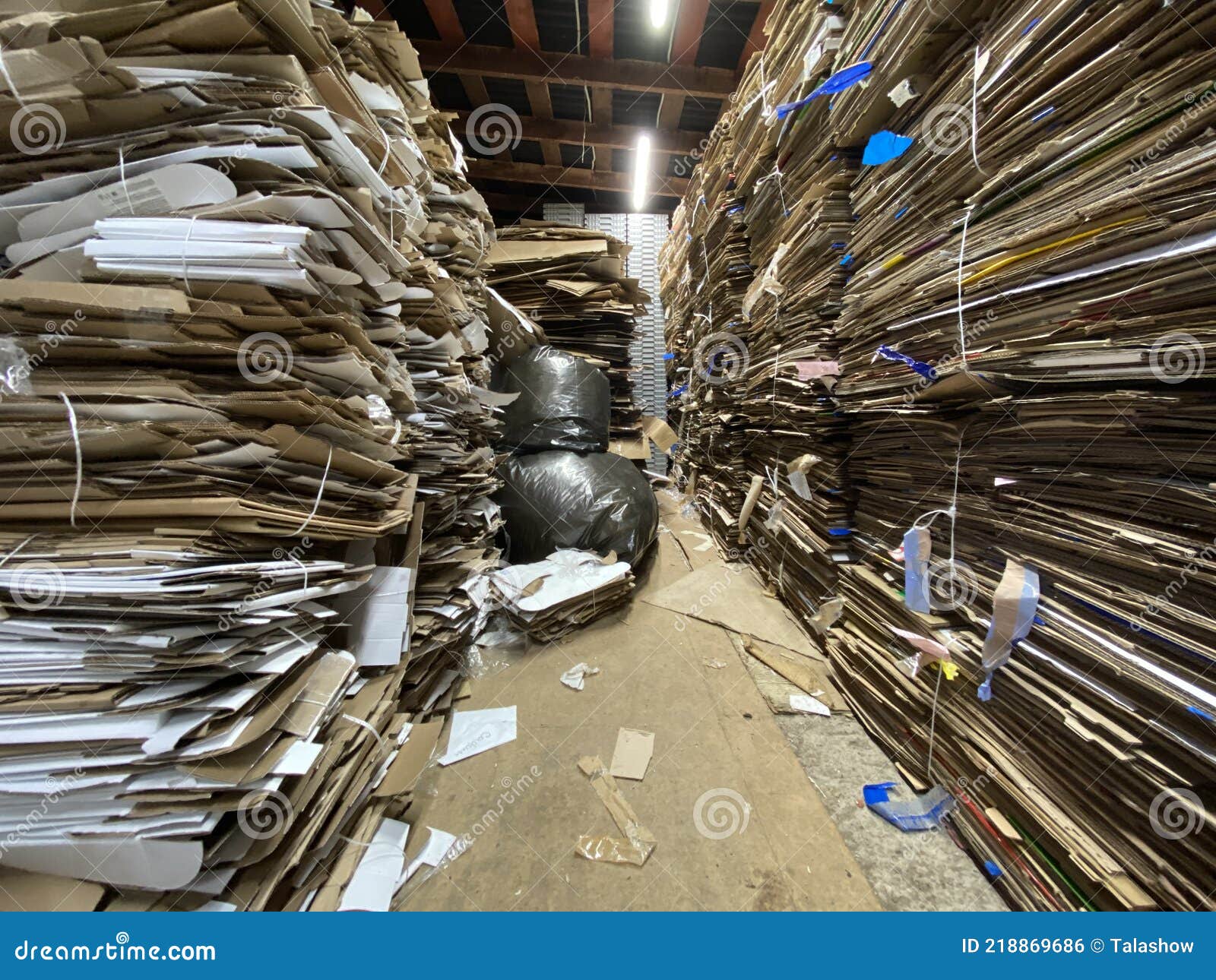 Pressed Cardboard Stacked in Stock Stock Photo - Image of production ...