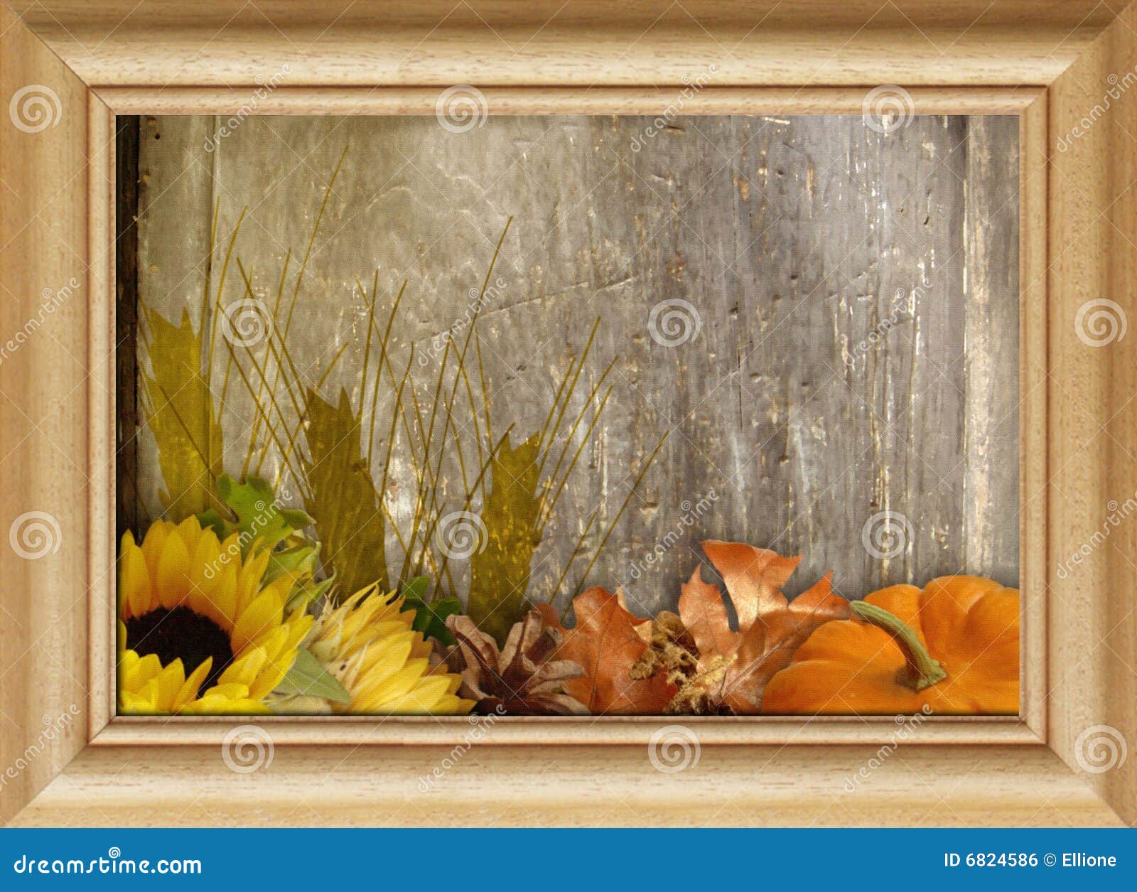 Pressed Flower Paper Background Royalty-Free Stock Photography ...