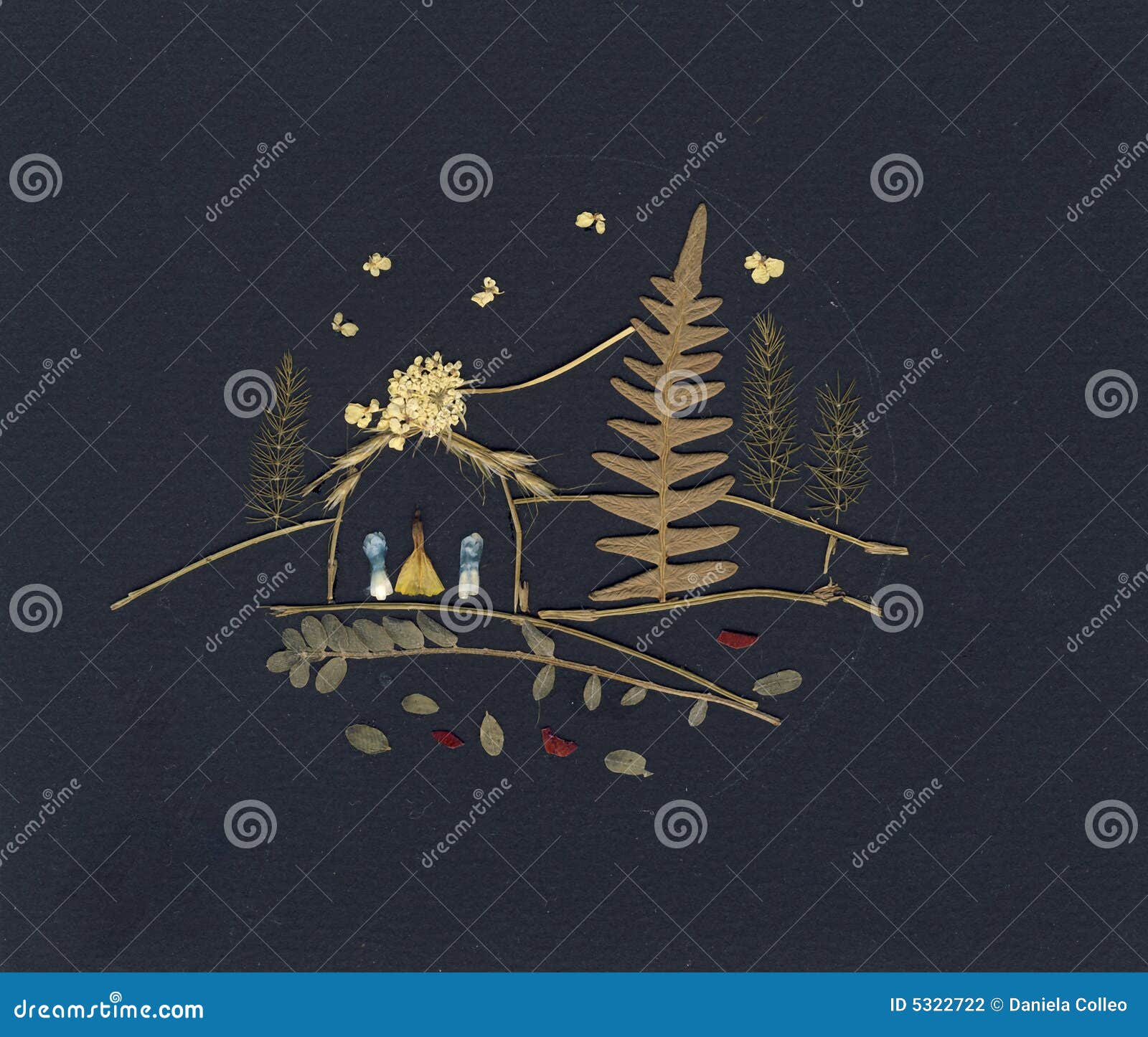 Pressed Flowers Holy Nativity Stock Illustration - Illustration of ...