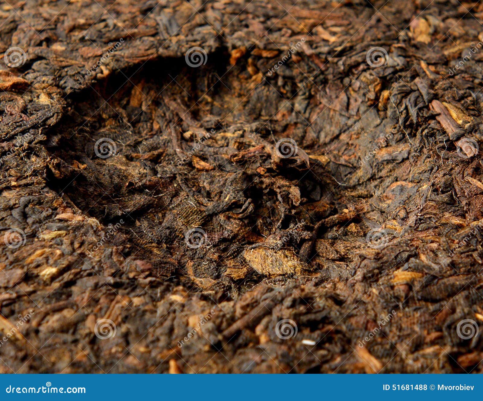Pressed puer tea closeup stock photo. Image of pressed - 51681488