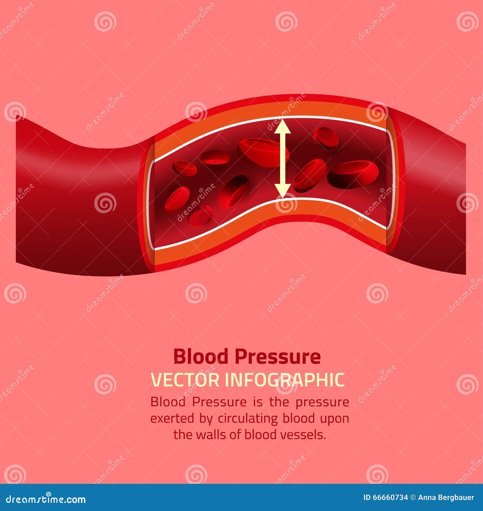 Pressione Sanguigna Infographic Illustrazione Vettoriale ...