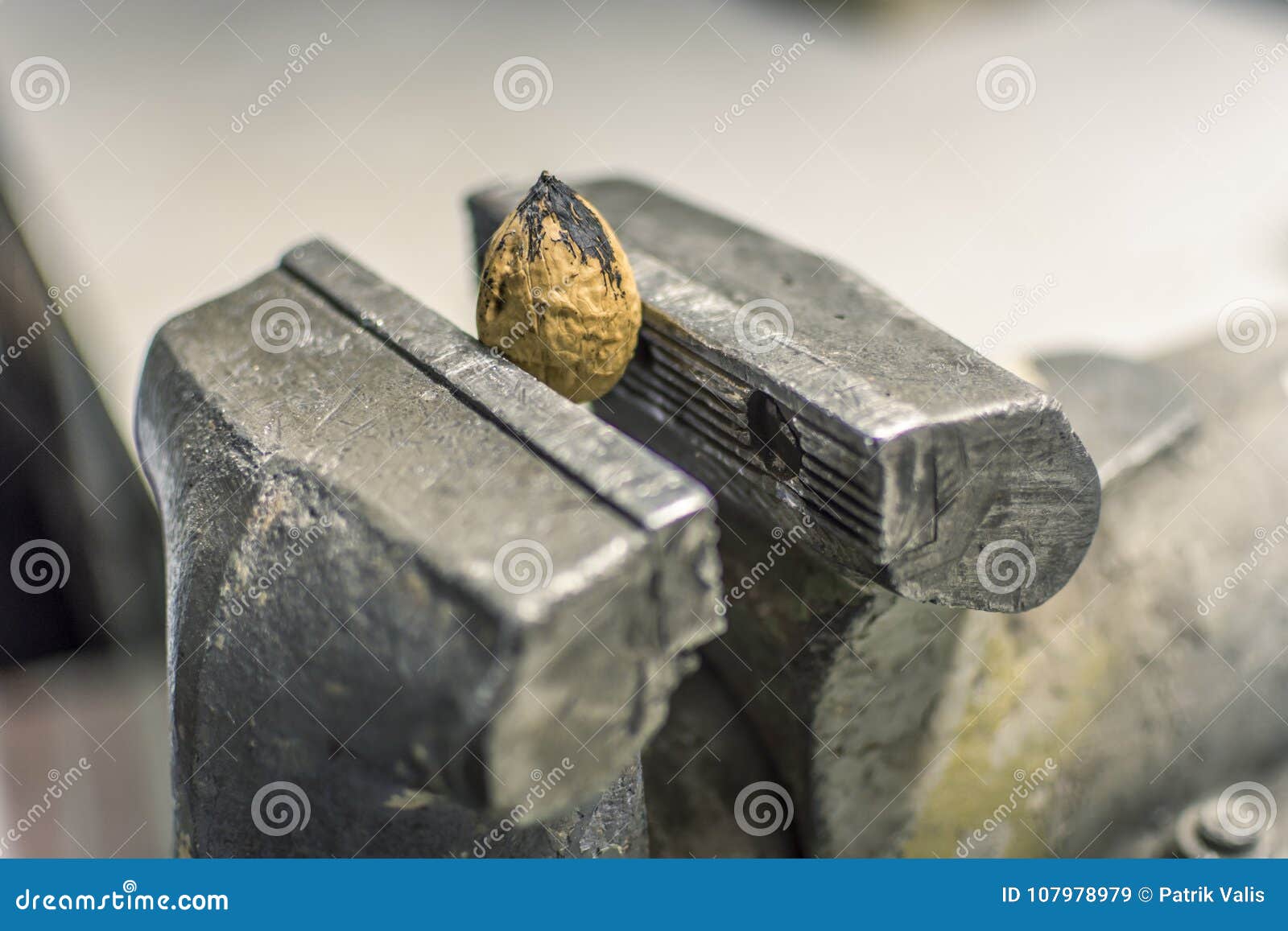 Pressure Everyday Surroundings. Nut in a Vice Stock Image - Image of ...
