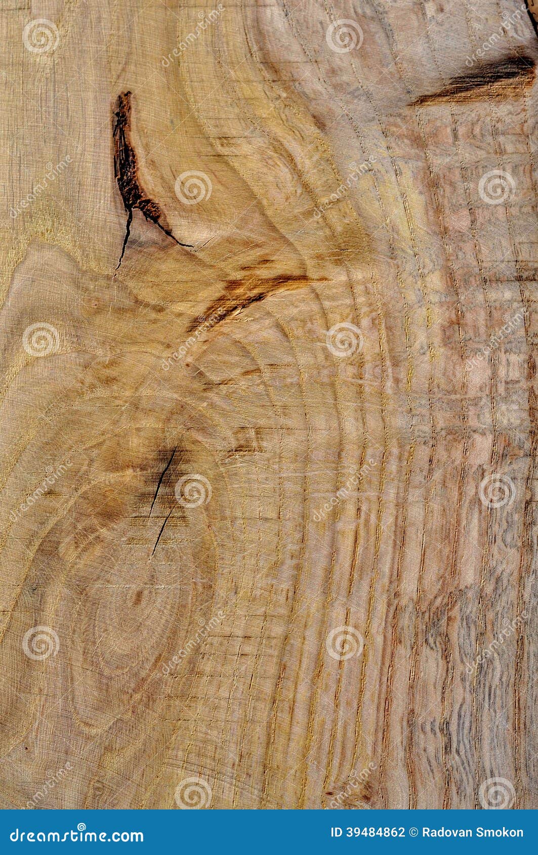 Pressure treated wood stock photo. Image of nature, carpentry - 39484862