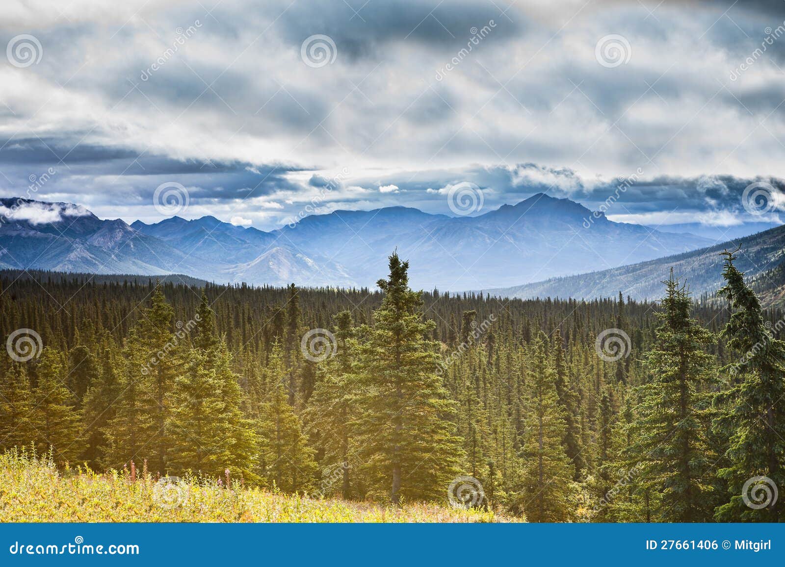 Pretty Alaskan Landscape in Denali National Park Stock Photo - Image of ...
