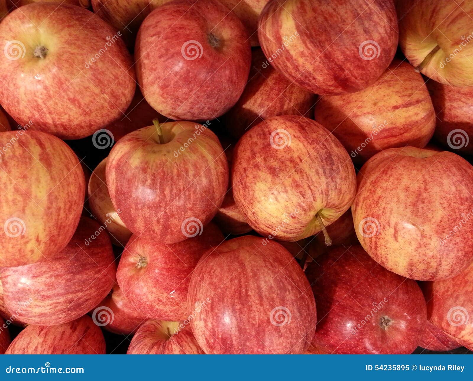 Pretty apples stock image. Image of fruity, juicey, apples - 54235895