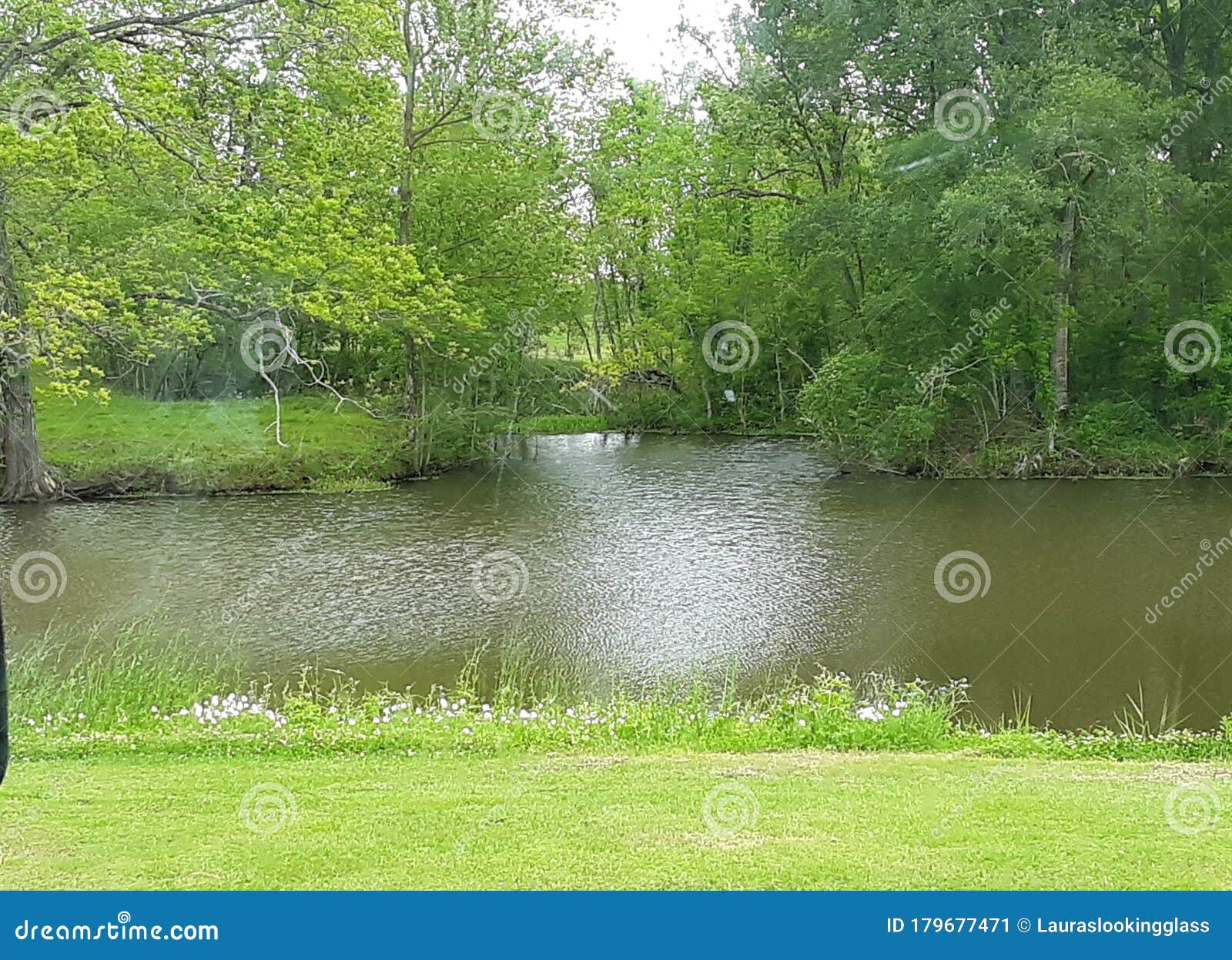 Pretty Bayou Scene As Wind Ripples Threw Water Stock Image - Image of ...