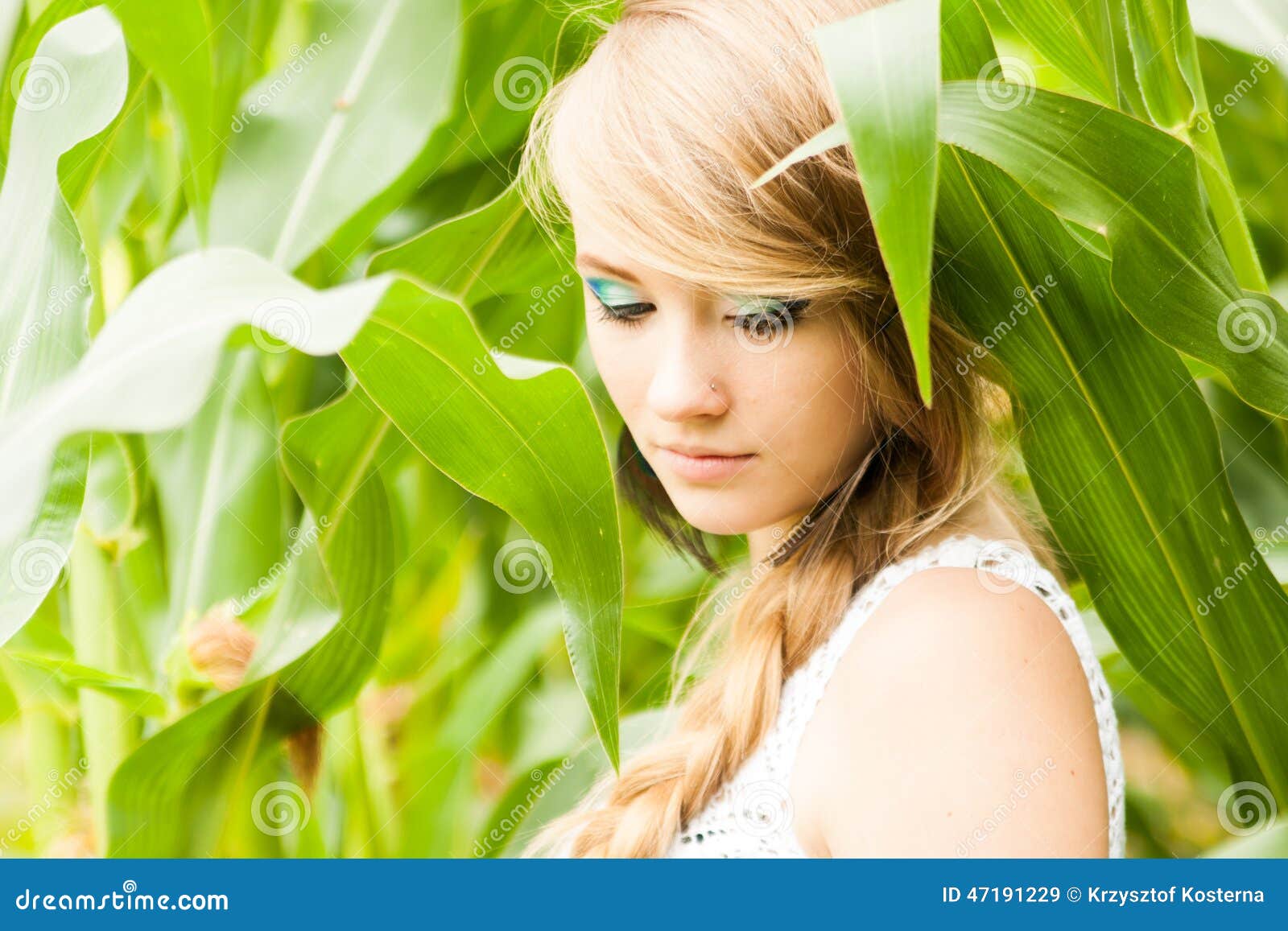 Pretty Blonde in the Corn Field Stock Image - Image of field, school ...