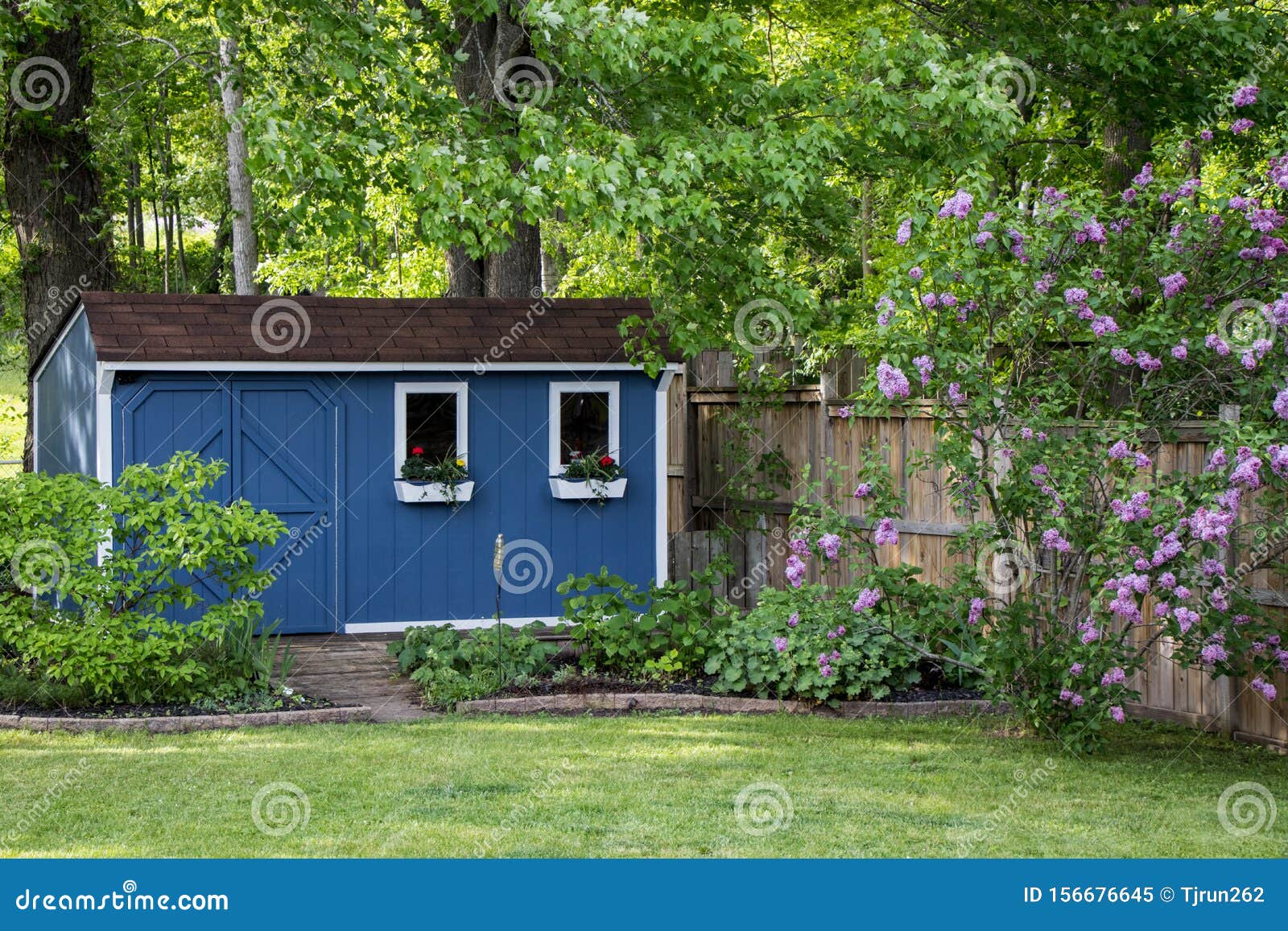 Pretty Blue she Shed in the Backyard Garden with Lilacs in Full Bloom ...