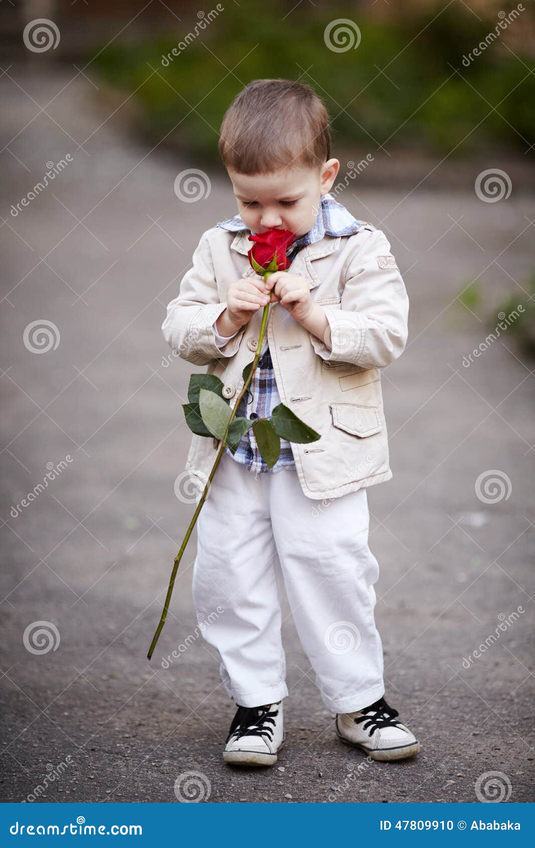 Pretty Boy Hold Red Rose in Hand Stock Photo - Image of celebration ...