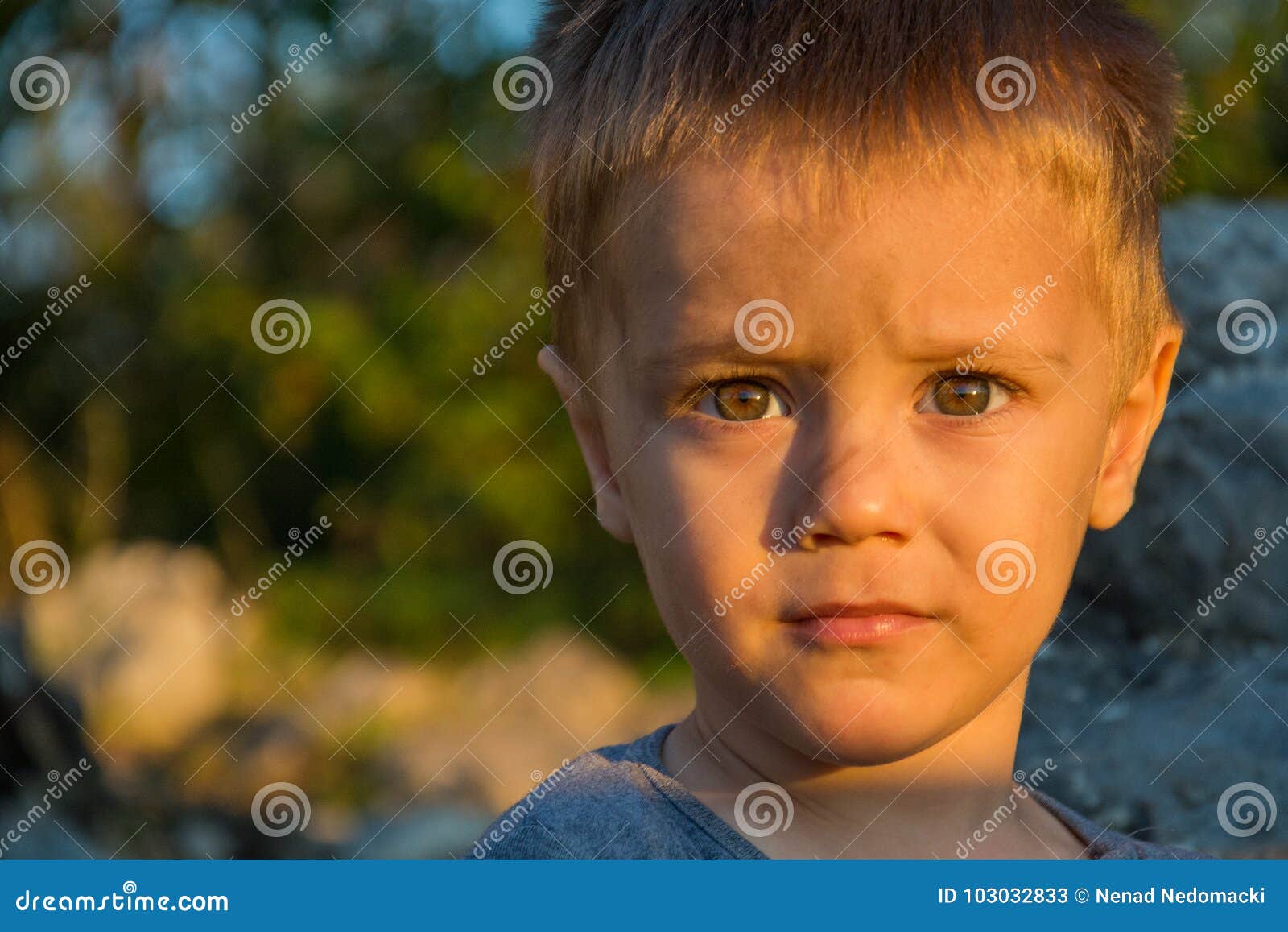 Pretty Boy in Nature at Sunset Stock Image - Image of green, lifestyle ...