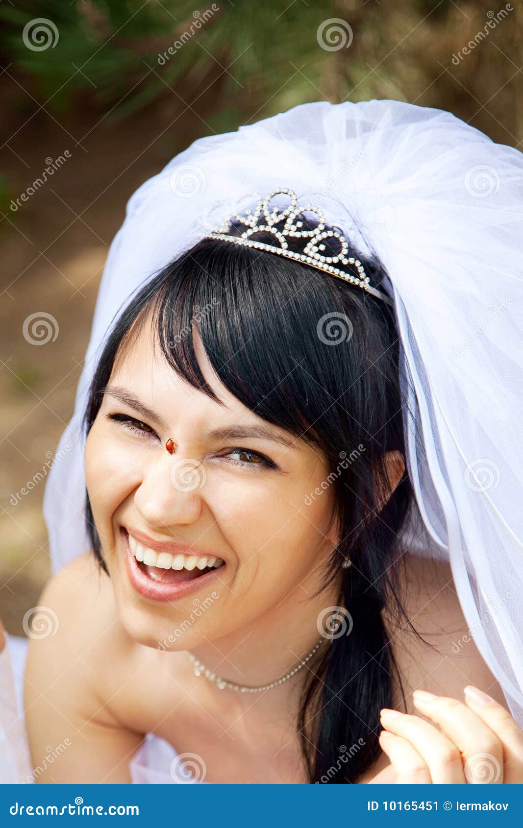 Pretty bride stock image. Image of evening, veil, love - 10165451
